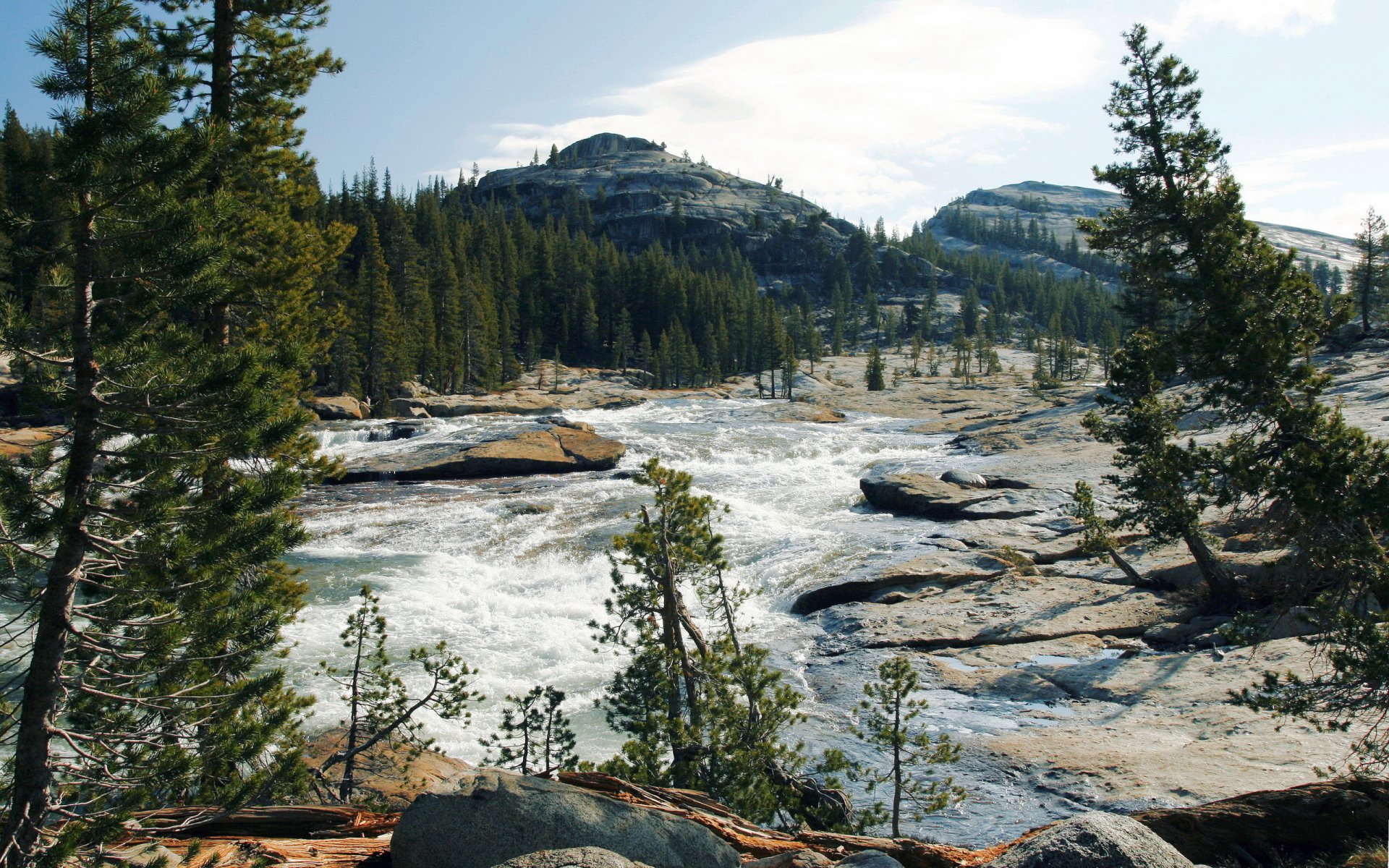 Download Nature River HD Wallpaper | 2560x1600 | Wallpaper Abyss