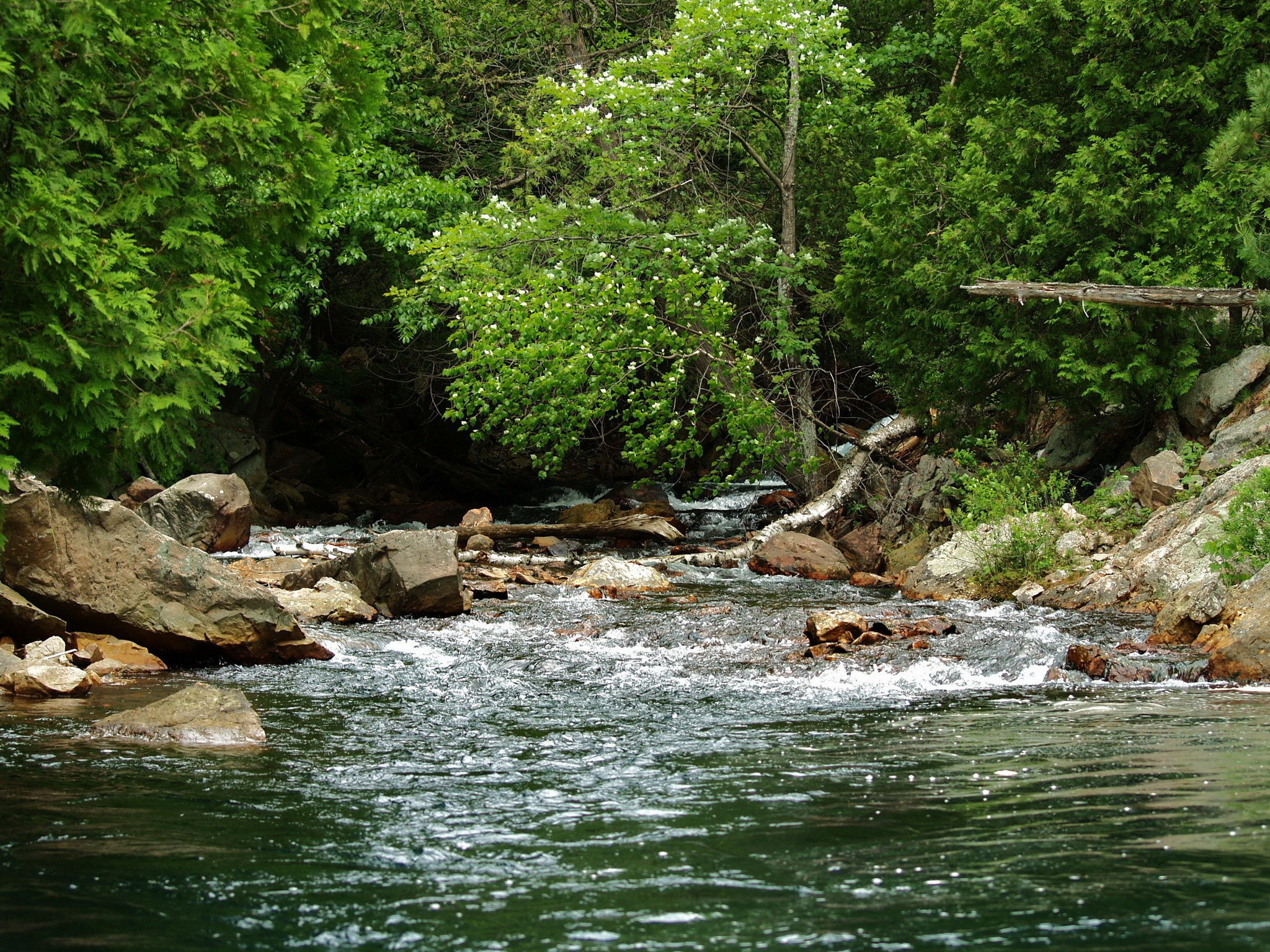 Download Nature River HD Wallpaper