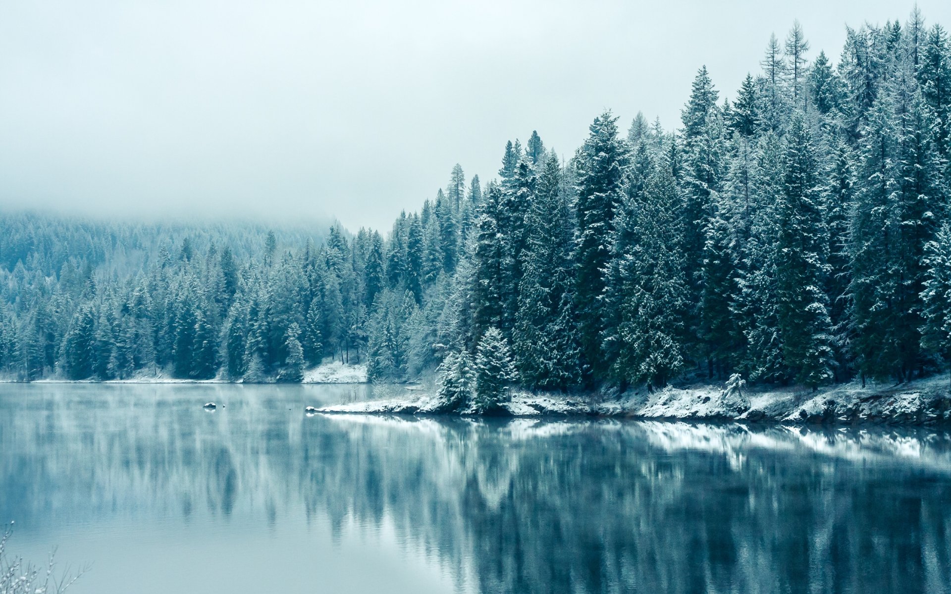 Serene Winter Reflections: HD Nature Wallpaper