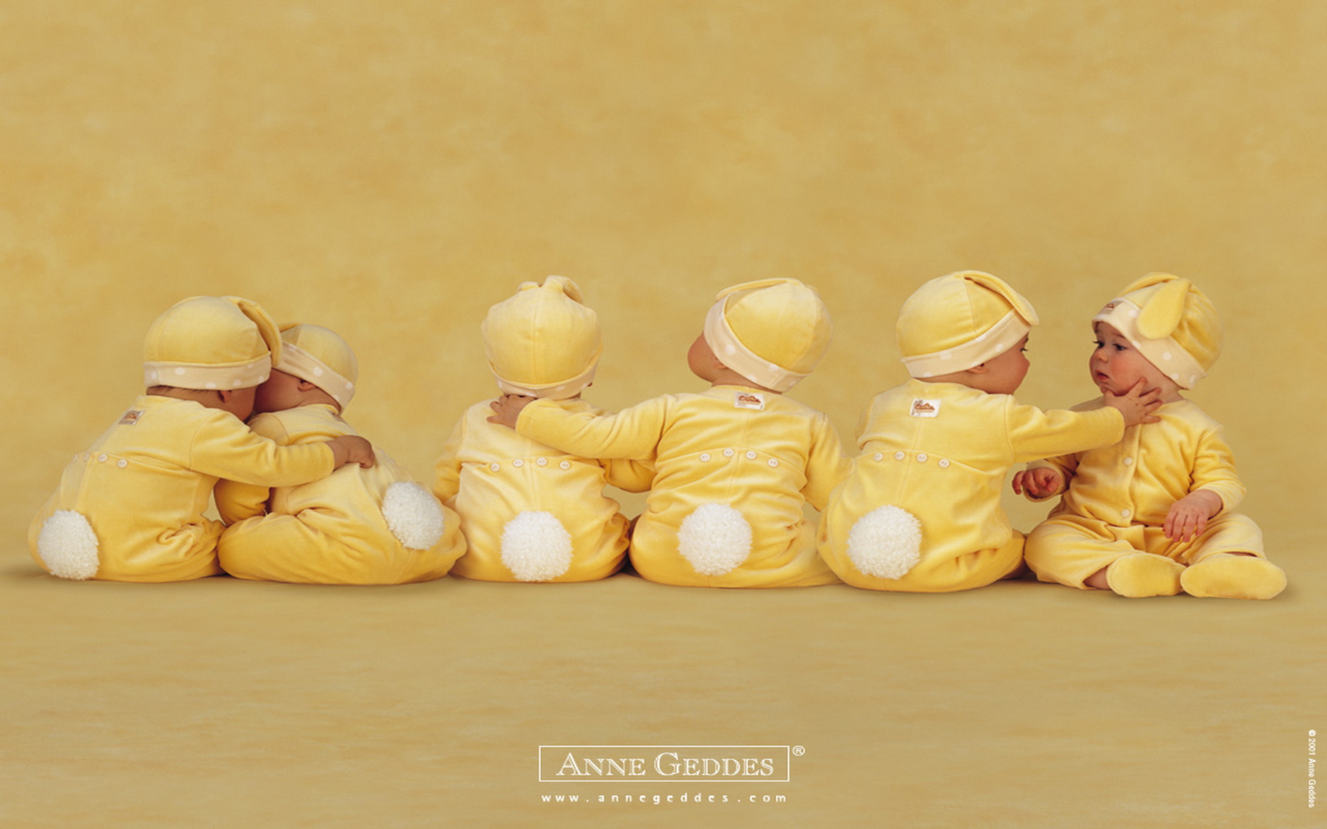 Anne Geddes Wallpaper Photos Amazon.com: Art Poster Anne Geddes Baby