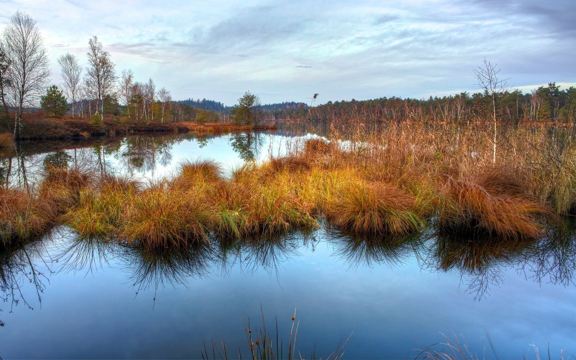 Download Nature Landscape HD Wallpaper | 1920x1200 | Wallpaper Abyss