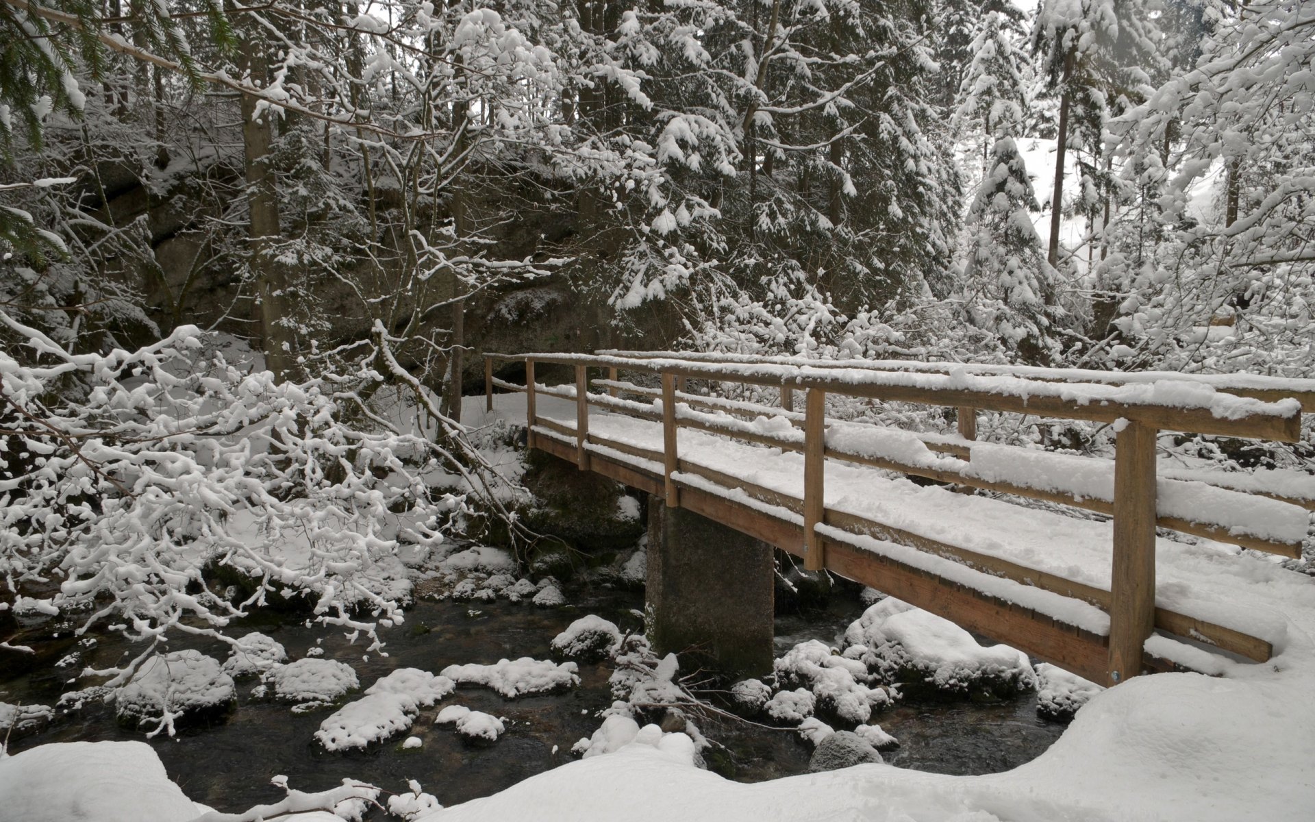 Snow-Covered Wooden Bridge in Winter Forest HD Wallpaper | 2560x1600 ...