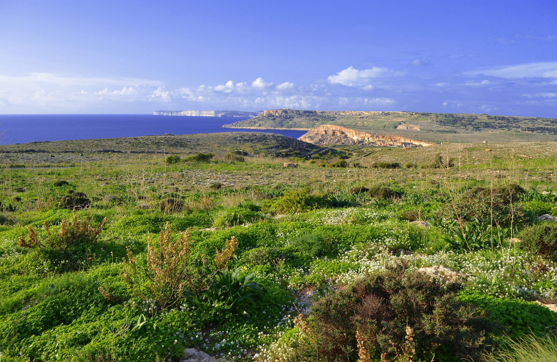 Coastal Meadow HD Wallpaper | Cliffside Vista - Ocean & Plains (HD ...