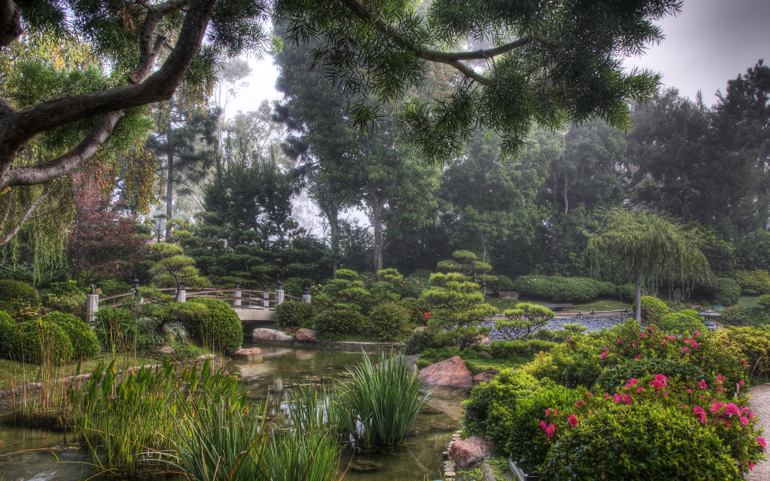 Download Photography Park HD Wallpaper