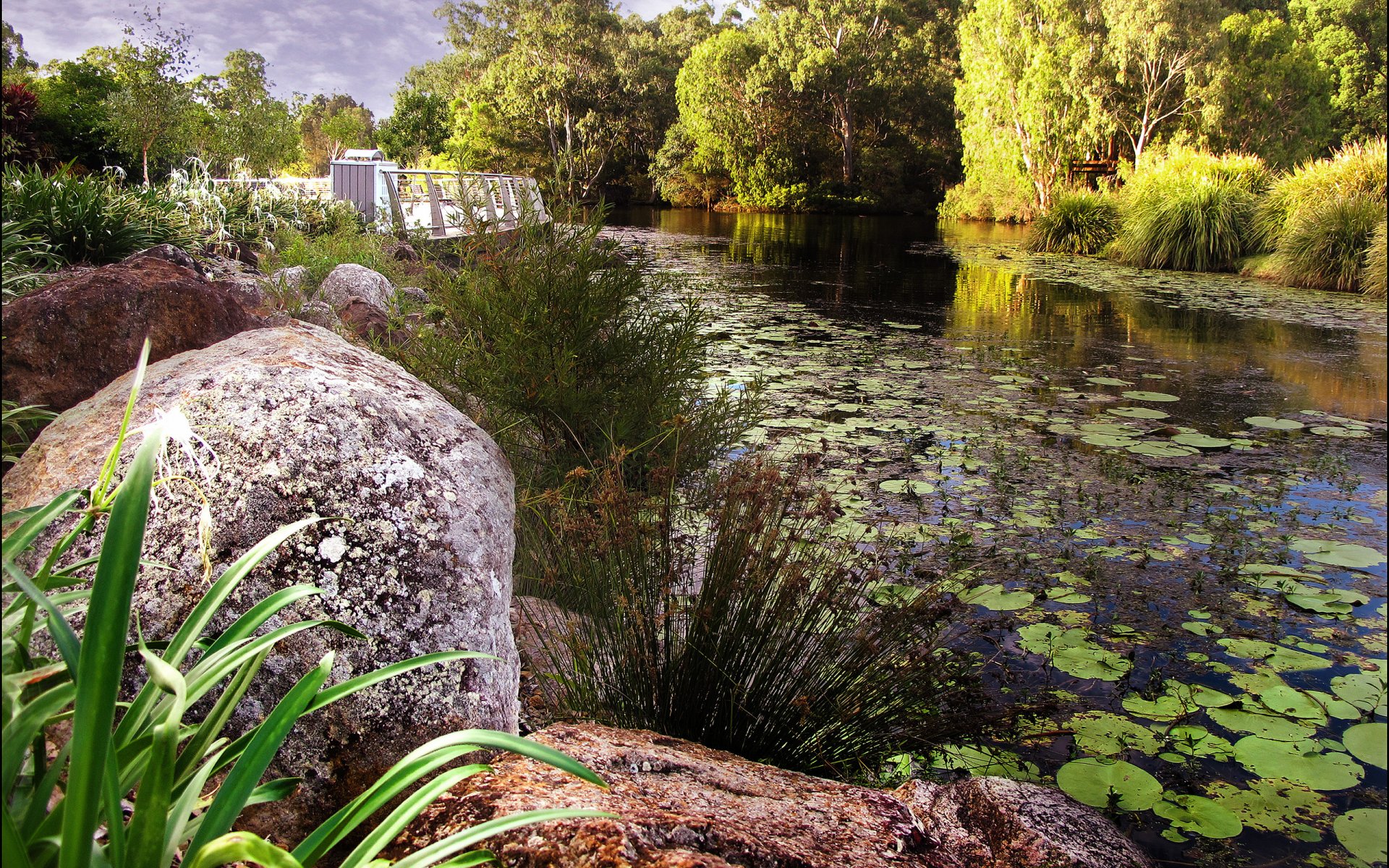 Serene Park Reflections: HD Nature Photography Wallpaper
