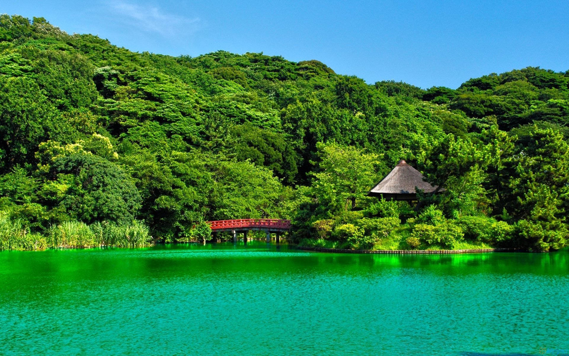 Lago Fondo de pantalla HD | Fondo de Escritorio | 2560x1600 | ID:393457 ...