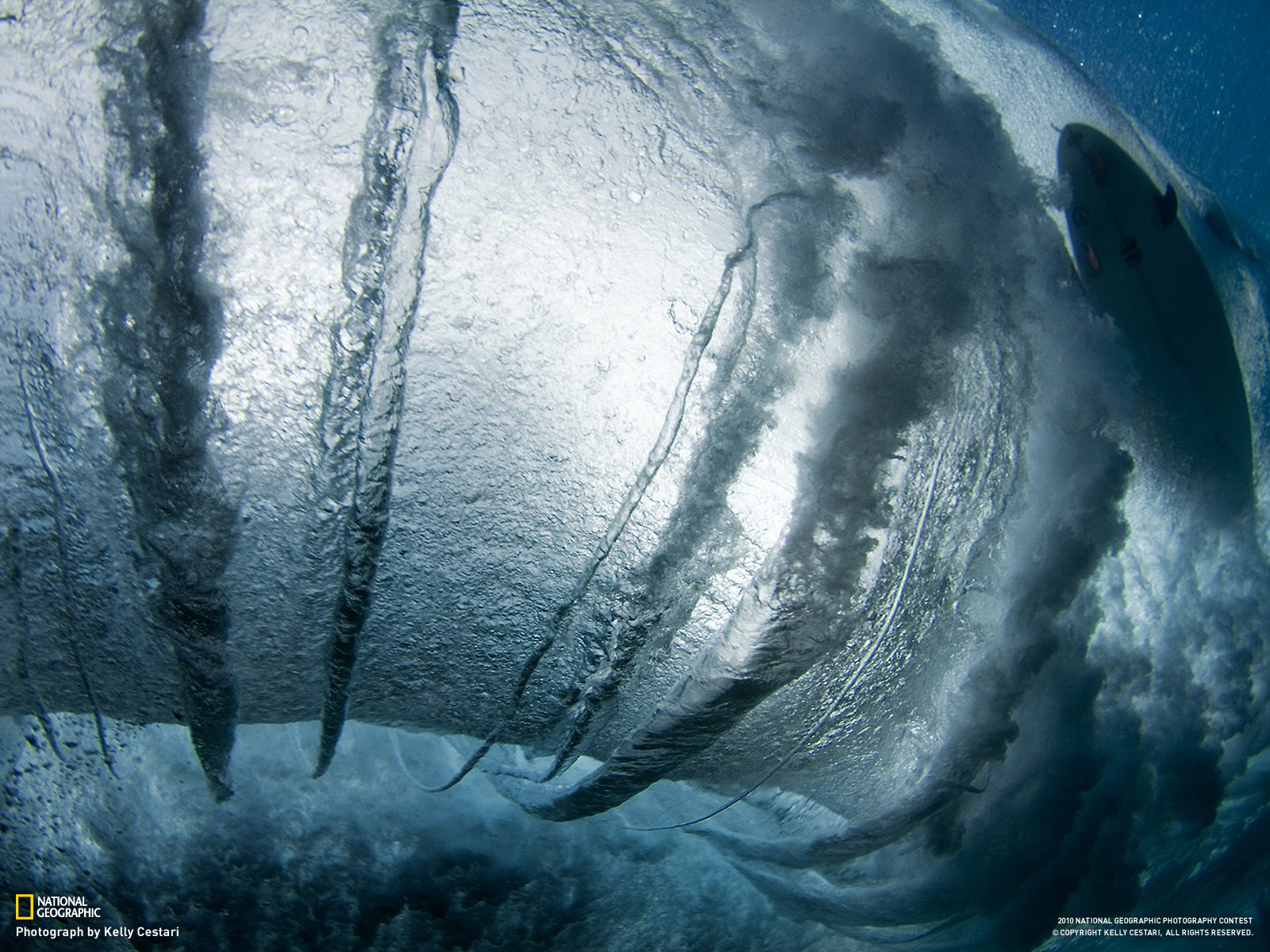 Download Underwater Photography Water Wallpaper
