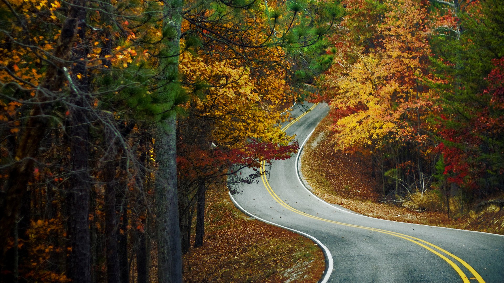 Download Man Made Road HD Wallpaper | 1920x1080 | Wallpaper Abyss