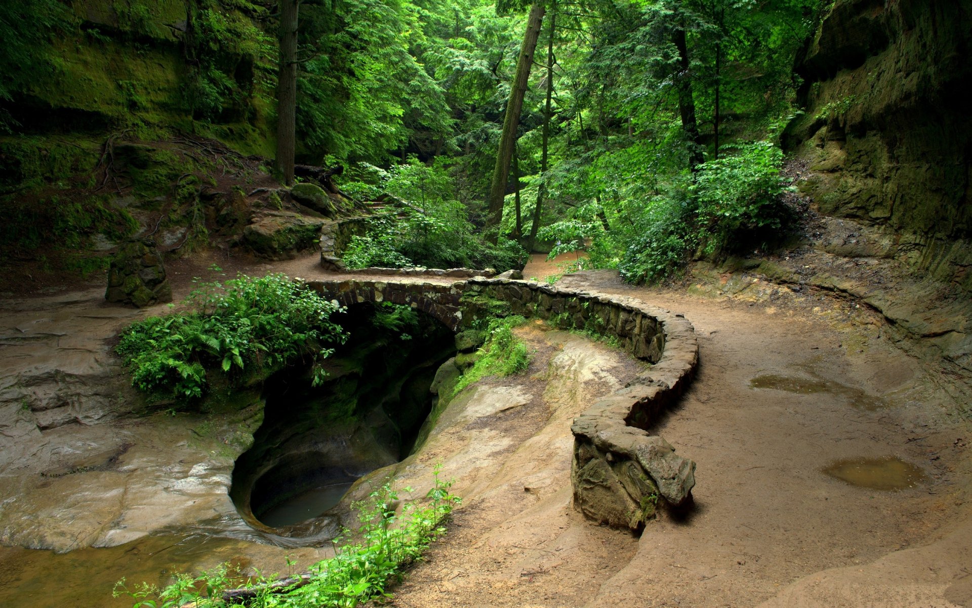 Tranquil Forest Bridge HD Wallpaper: Nature’s Serene Landscape