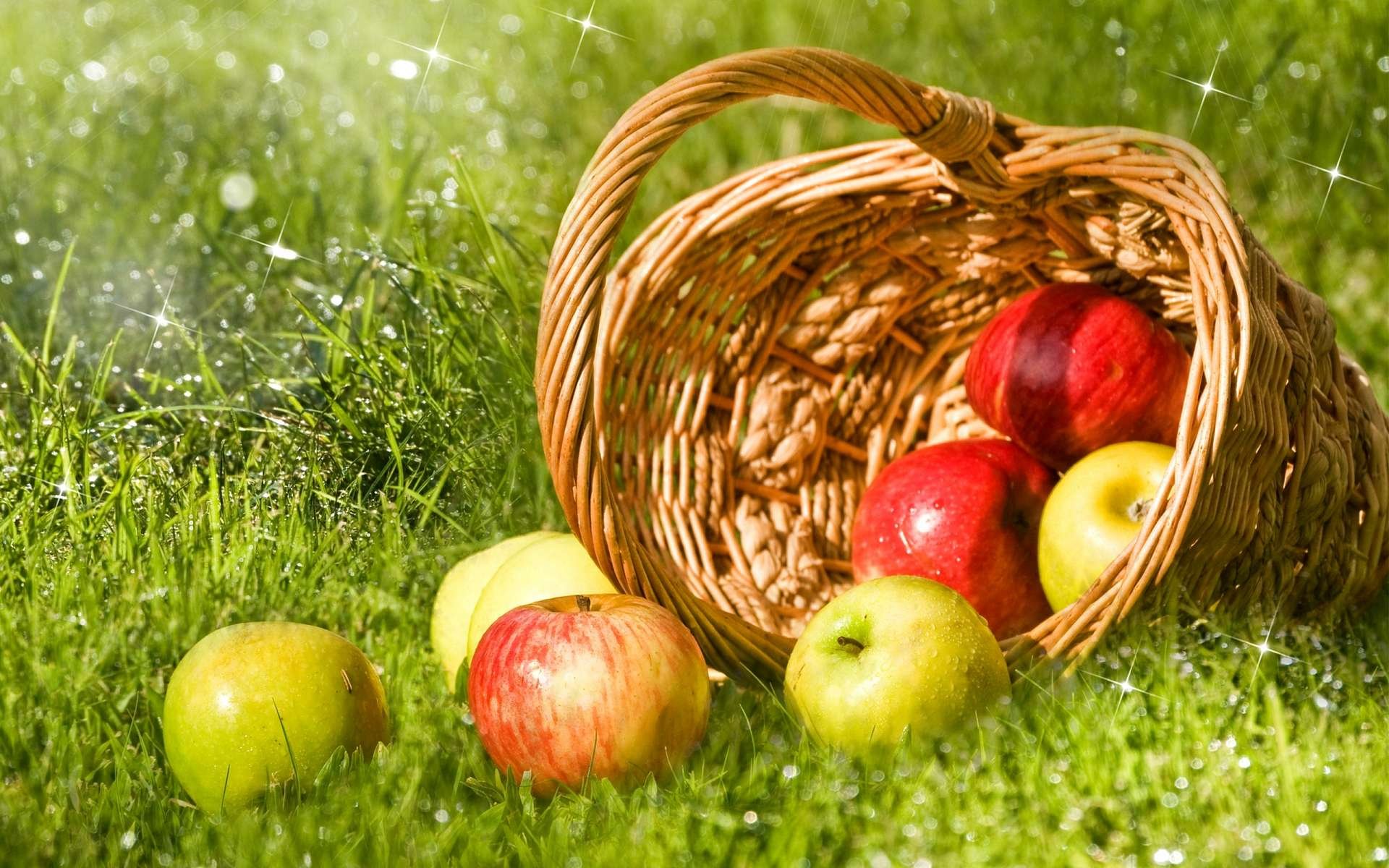 Crisp Apple Harvest: HD Food Wallpaper Bliss | 1920x1200 | Wallpaper Abyss