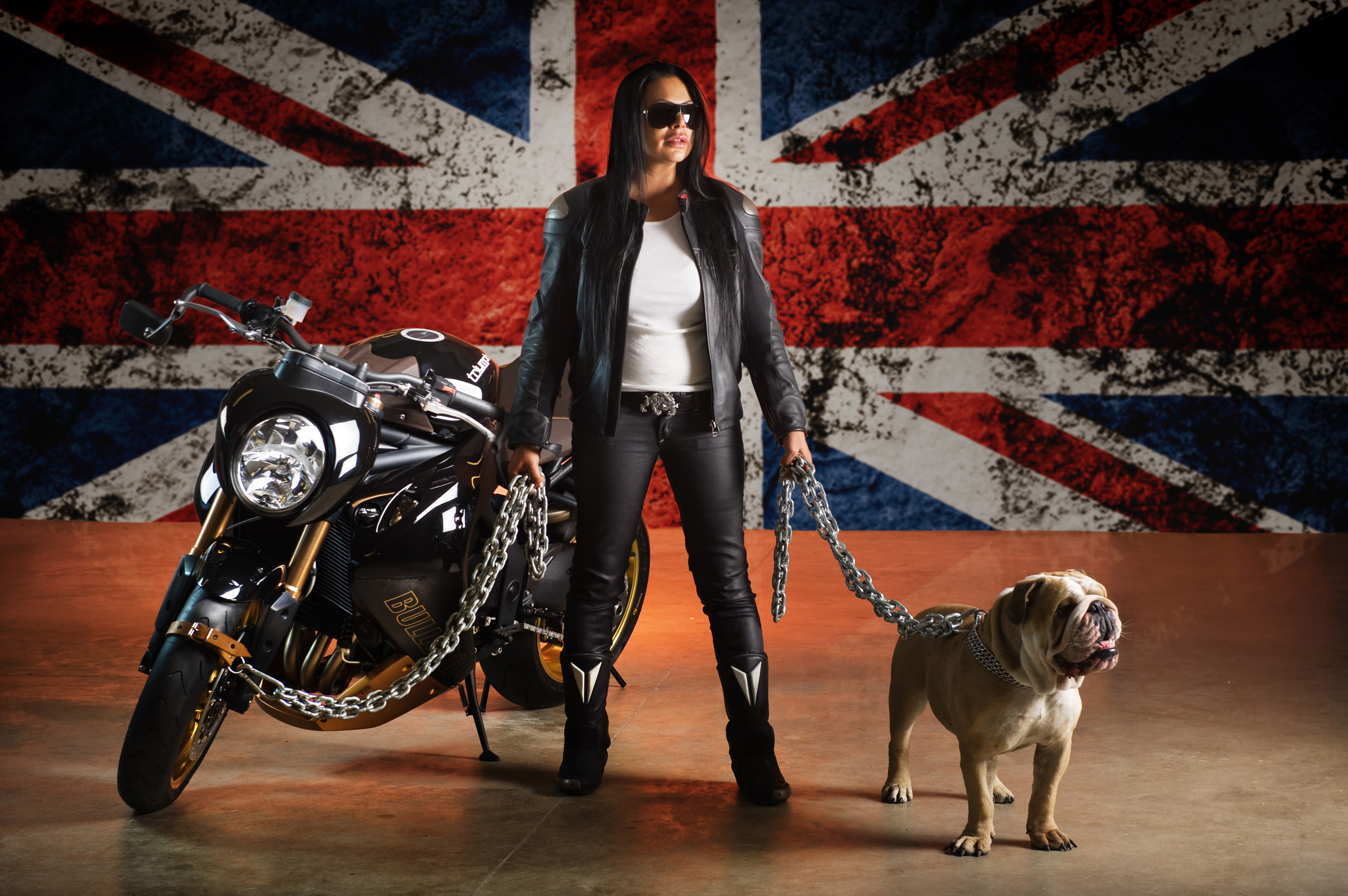 Vilner Triumph Speed Tripple Bulldog Custom Bike