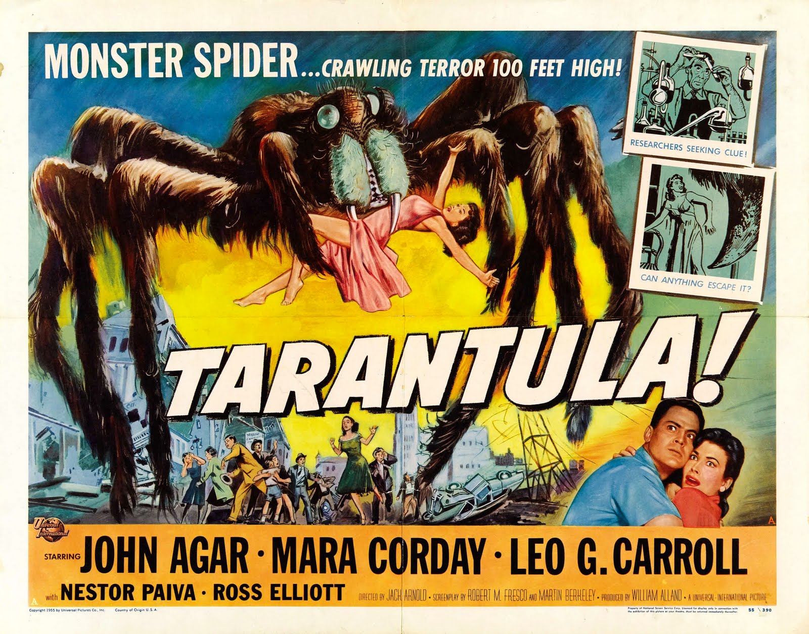 Download Movie Tarantula Wallpaper
