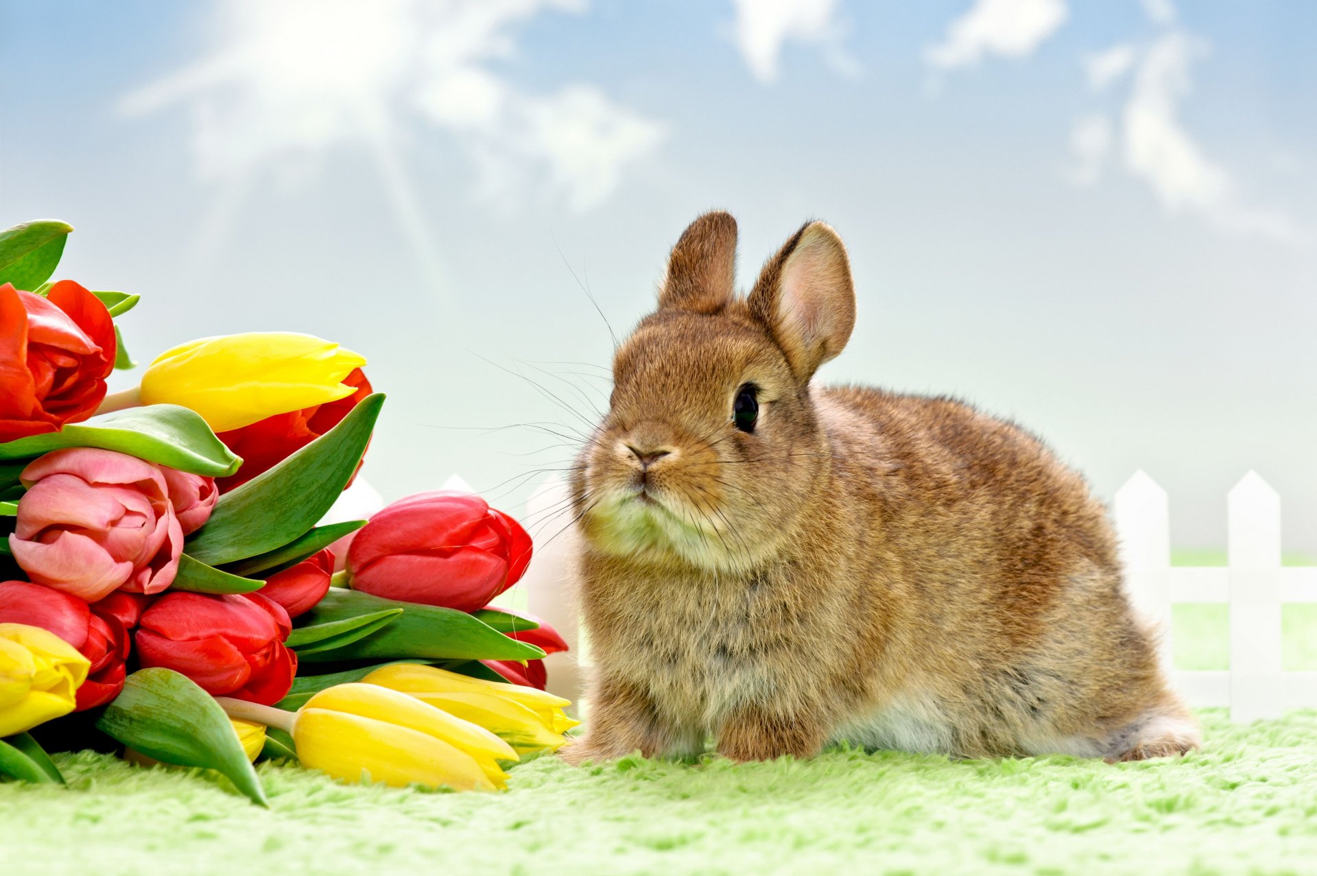 Charming Rabbit Amidst Flowers - 4K Ultra HD Wallpaper
