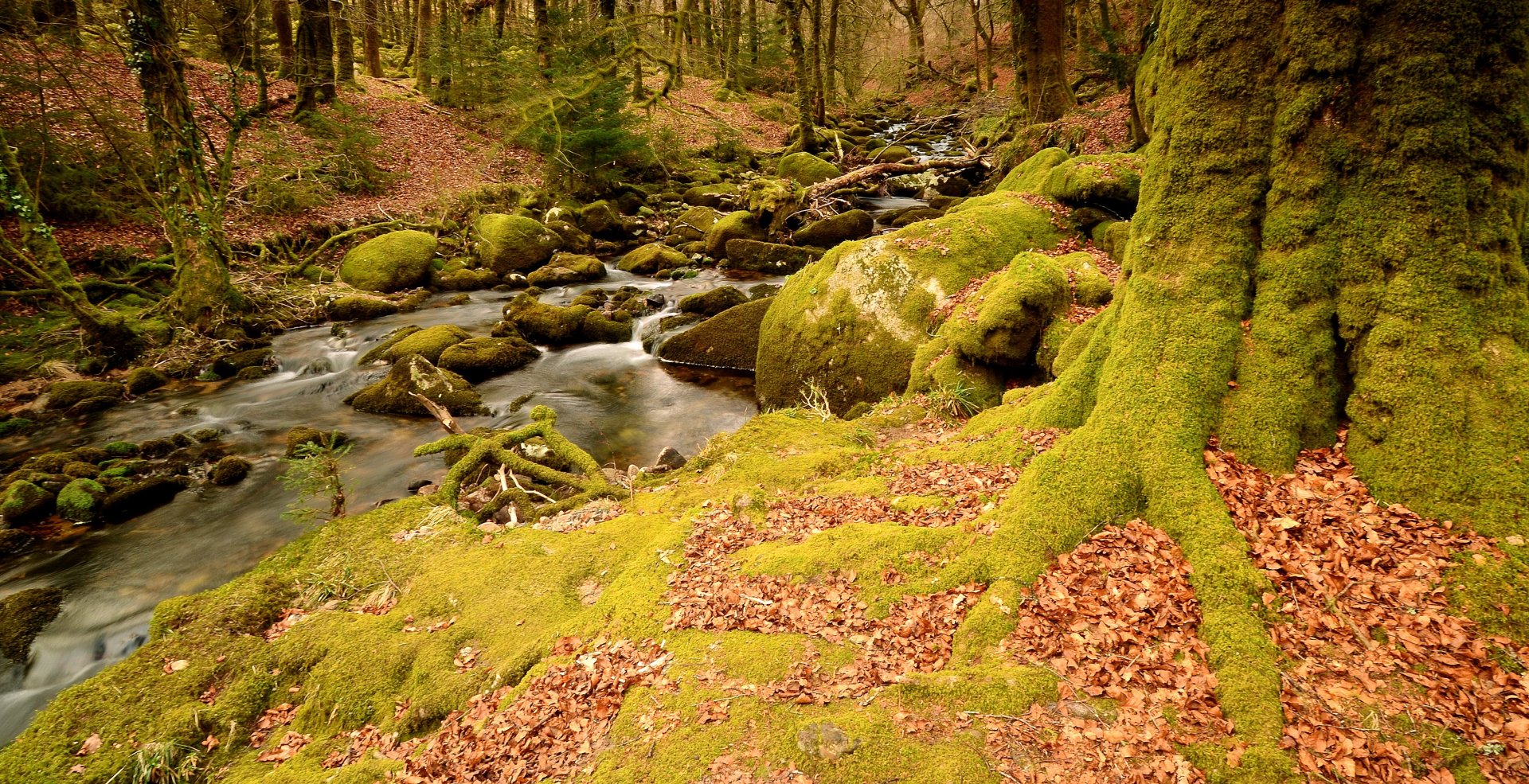 Download Nature Stream 4k Ultra HD Wallpaper
