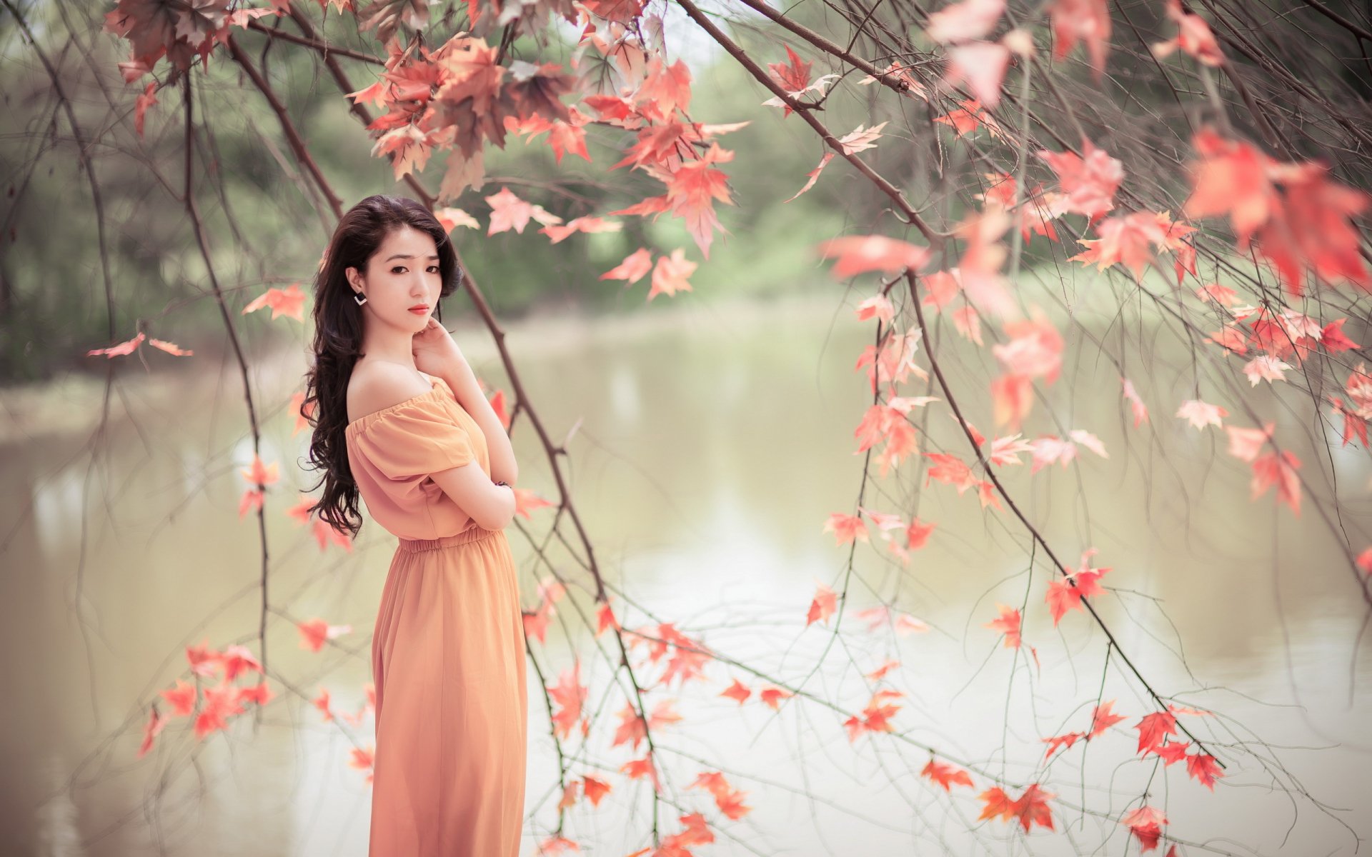 Asian Elegance HD Wallpaper