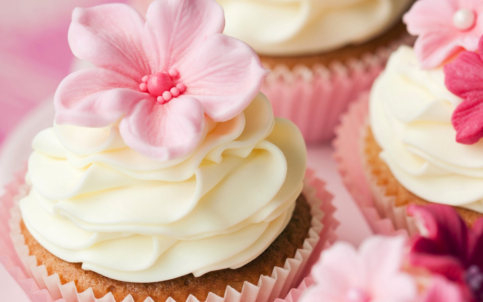 Delightful Cupcake HD Wallpaper with Floral Toppings