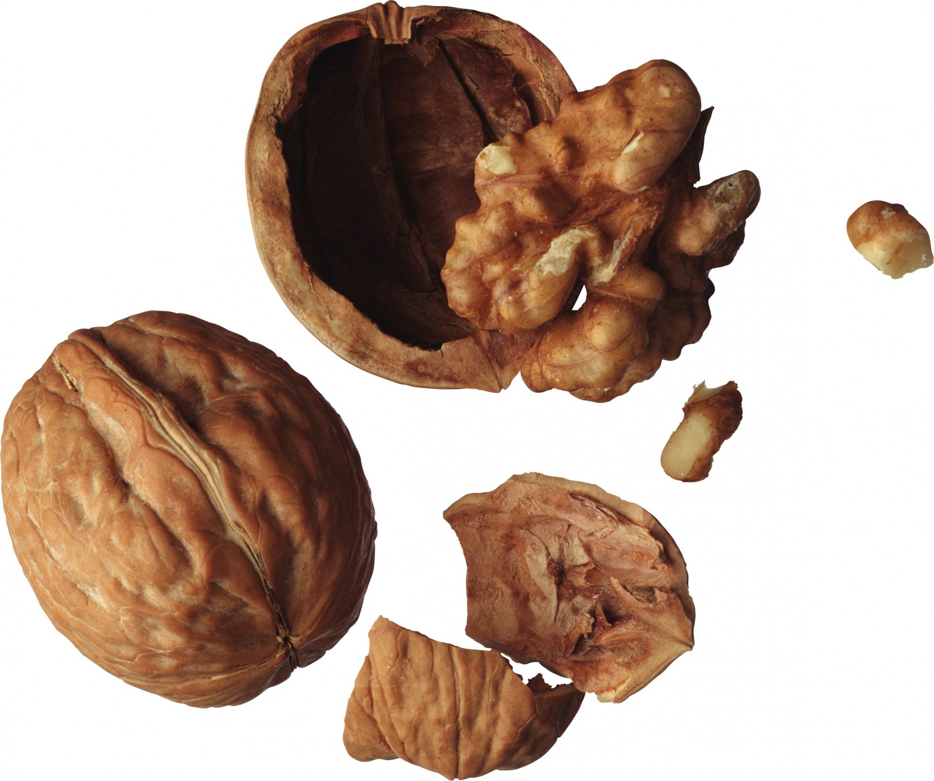 Download Food Walnut HD Wallpaper