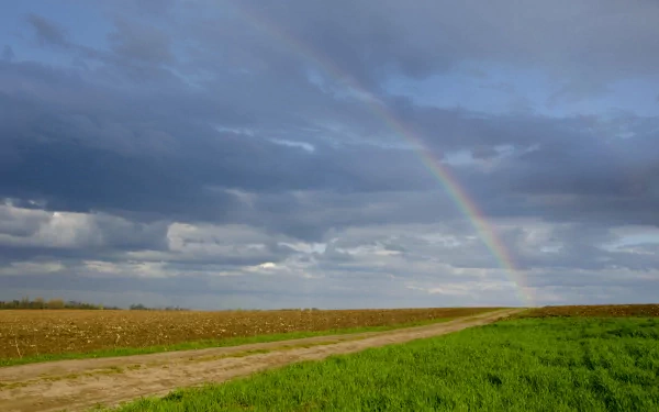 [130+] Rainbow 4k Wallpapers