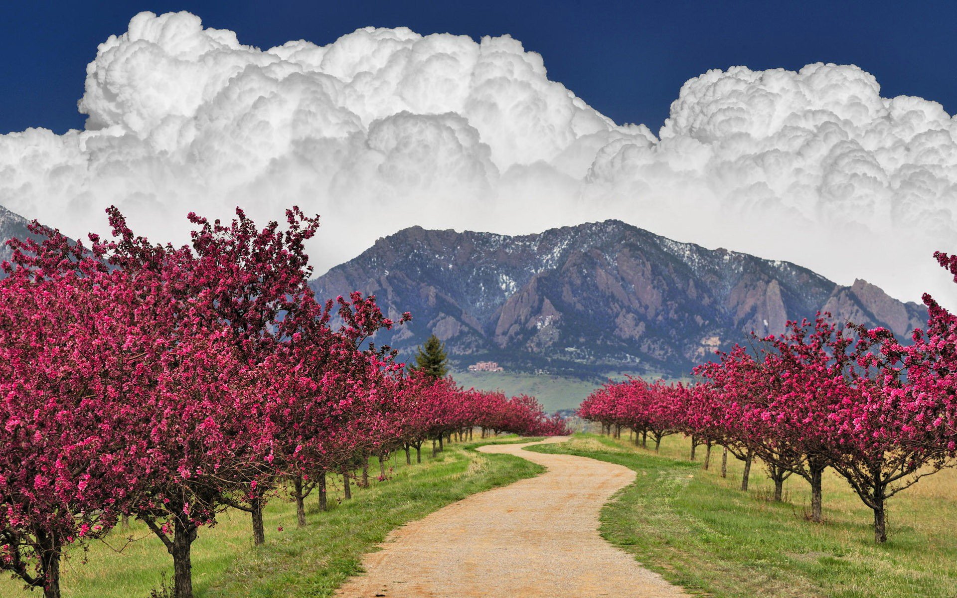 Serene Nature Landscape: Stunning HD Wallpaper
