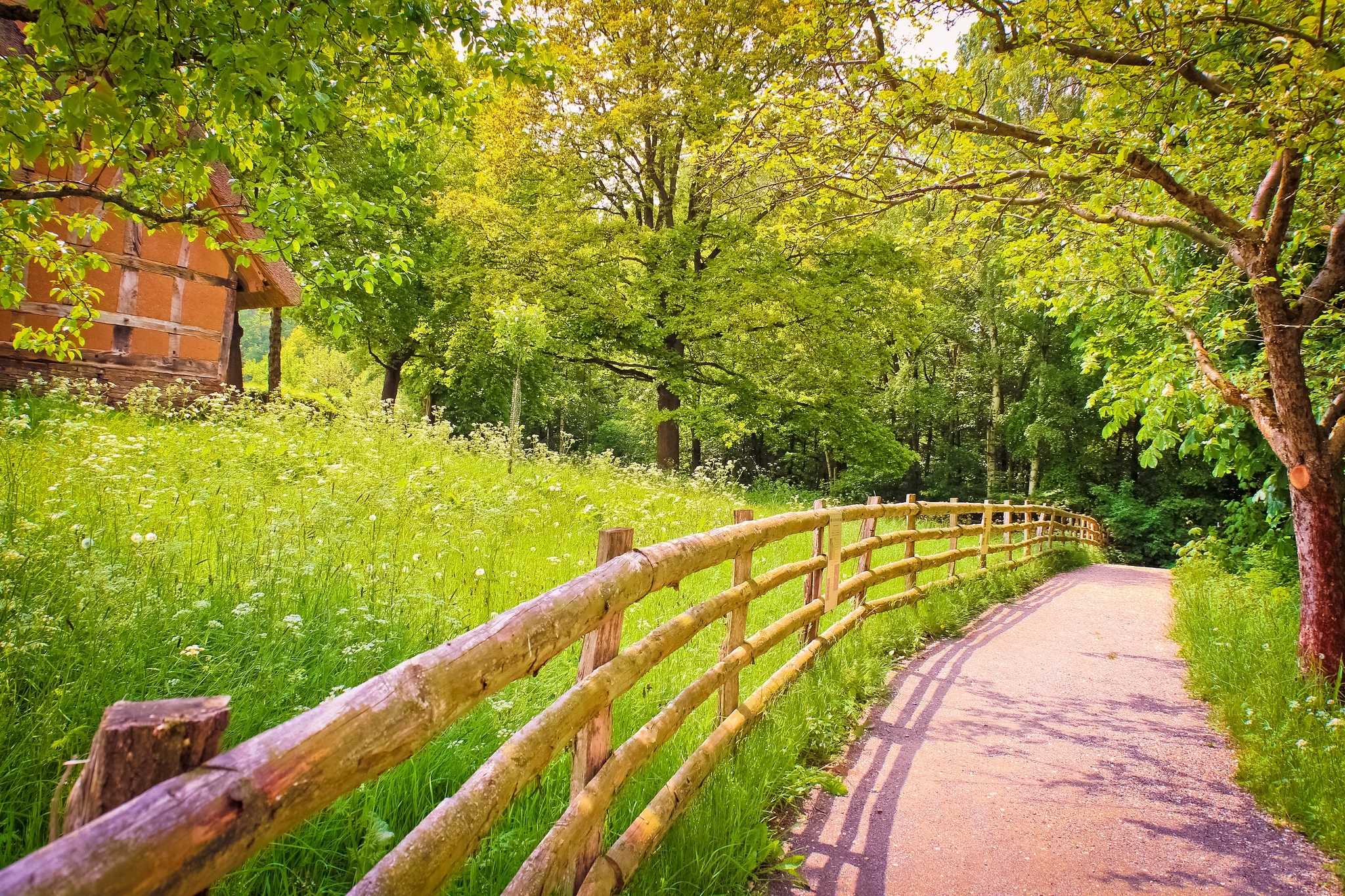 Scenic Wooden Fence Pathway HD Wallpaper – Free Download