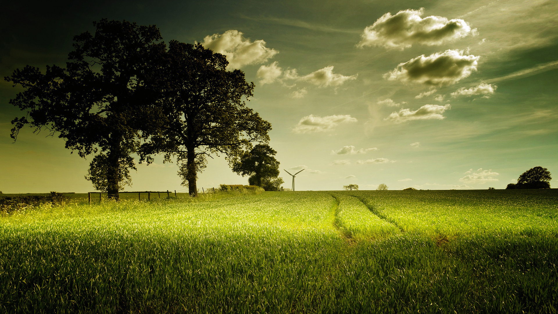 HD Nature Landscape: Serene Green Fields Under Glowing Skies