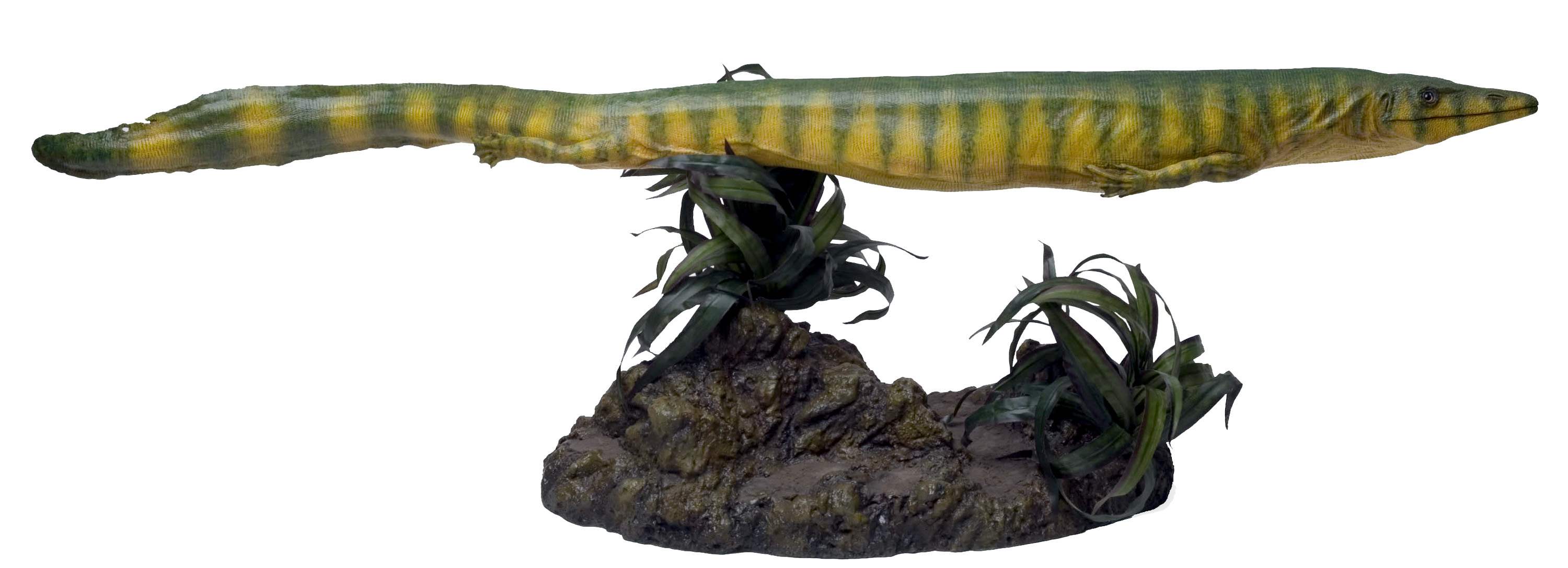 Dallasaurus - Alchetron, The Free Social Encyclopedia