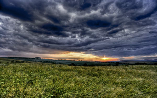 [580+] Field 4k Wallpapers