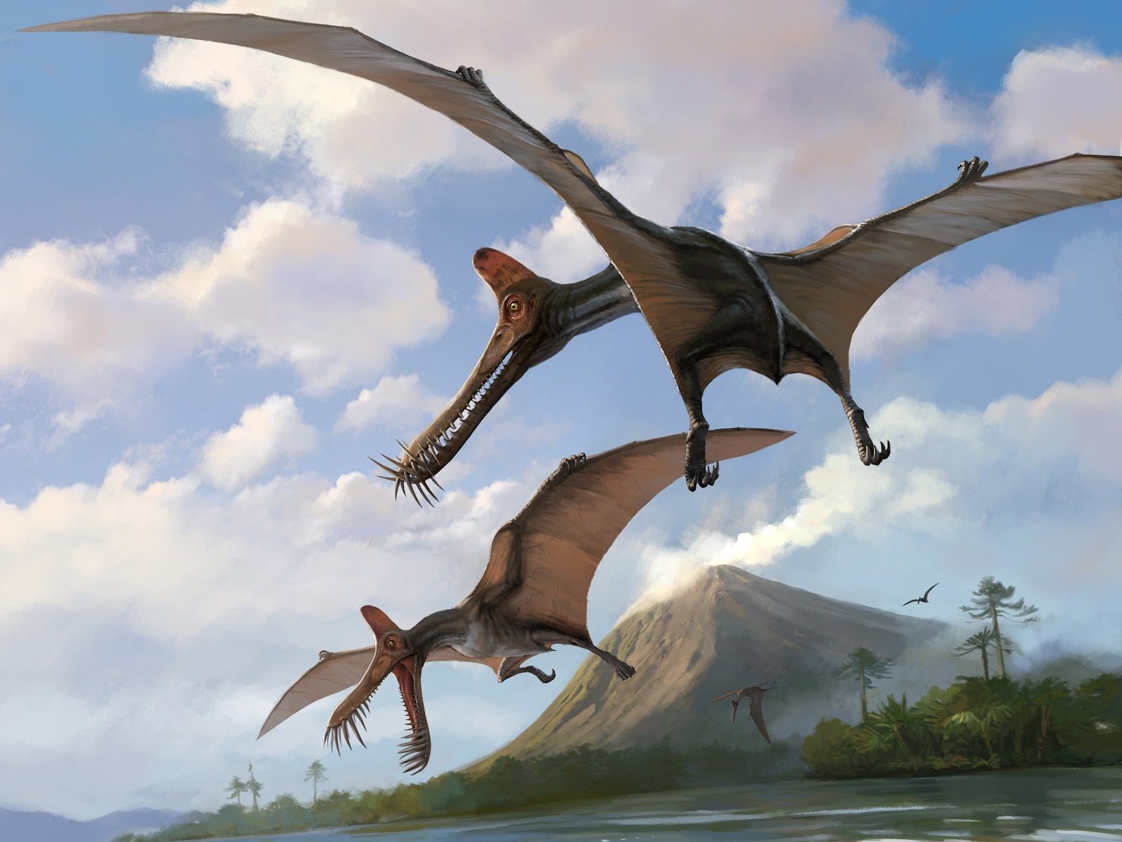 Majestic Pterosaurs in Flight – Stunning HD Dinosaur Wallpaper
