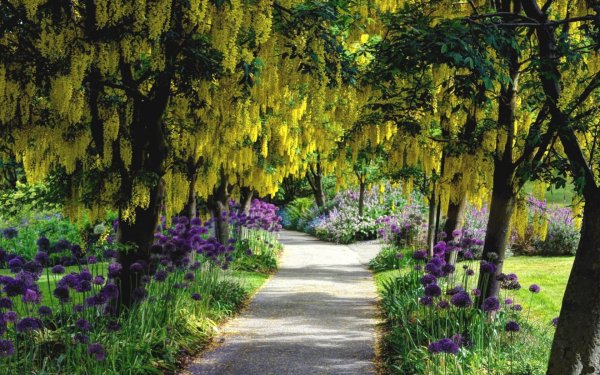 Garden - Desktop Wallpapers, Phone Wallpaper, PFP, Gifs, and More!