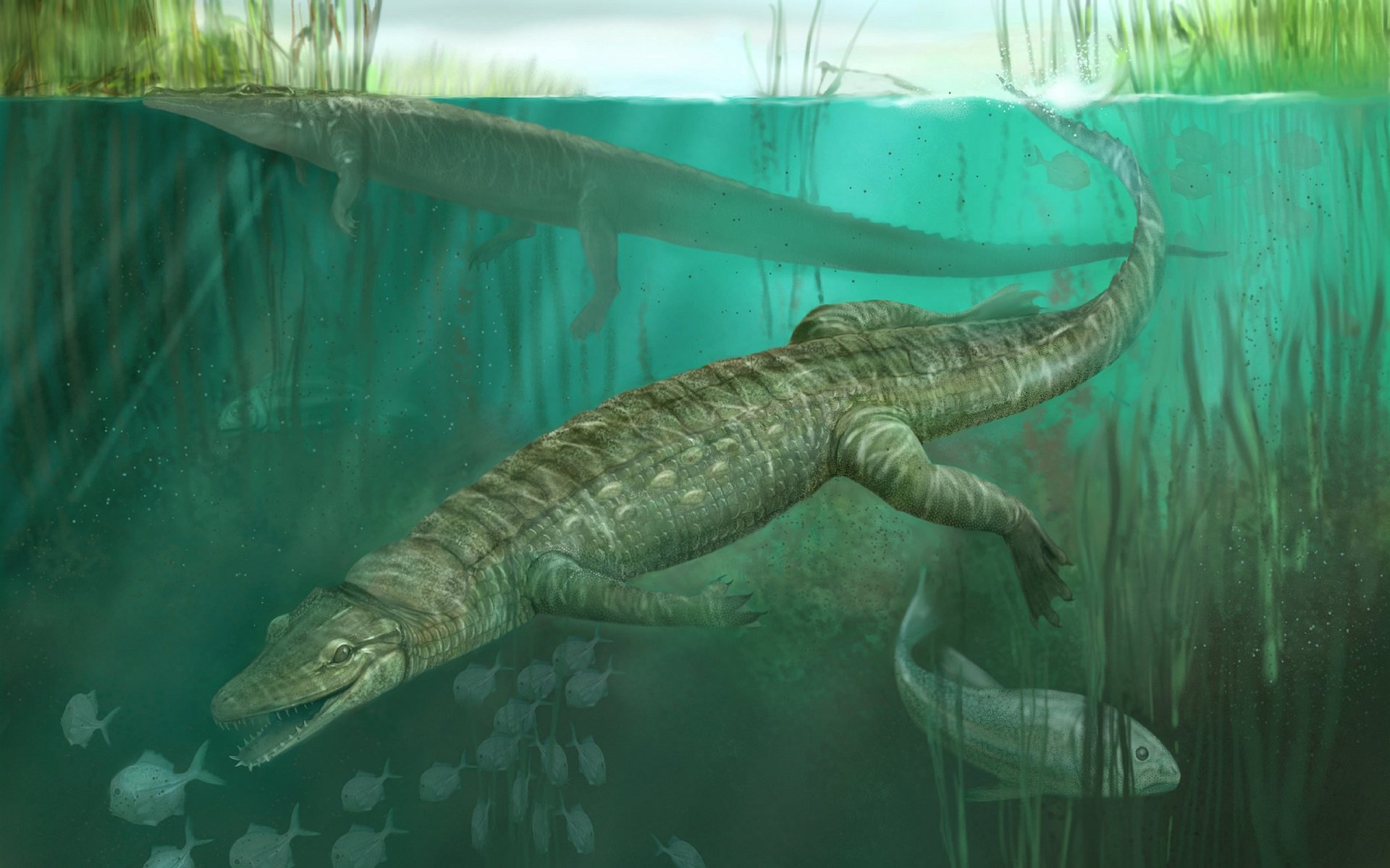 Download Animal Extinct HD Wallpaper