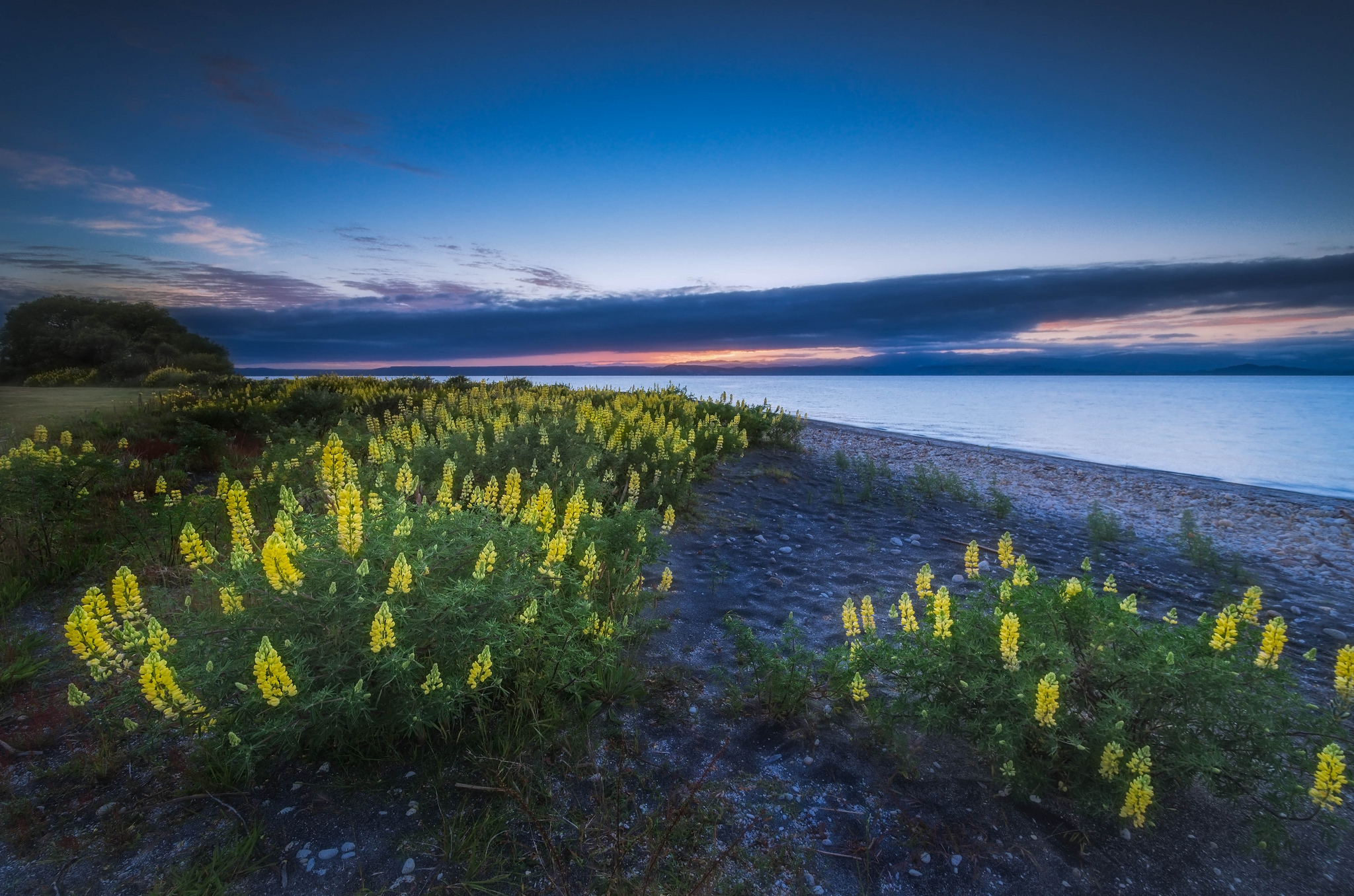 Lake Taupo Serenity: Nature’s HD Lakeside Bliss