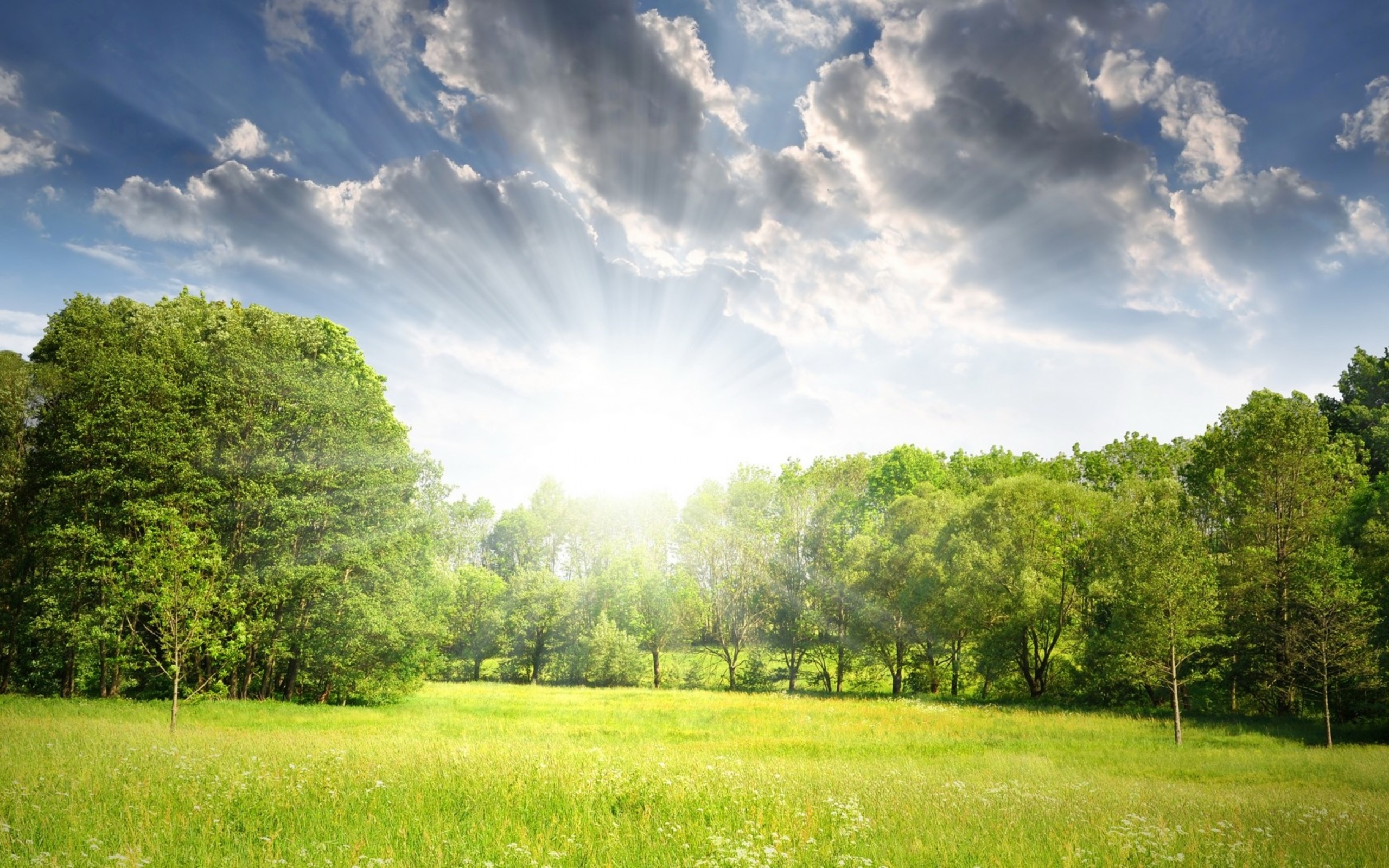 Download Nature Landscape HD Wallpaper