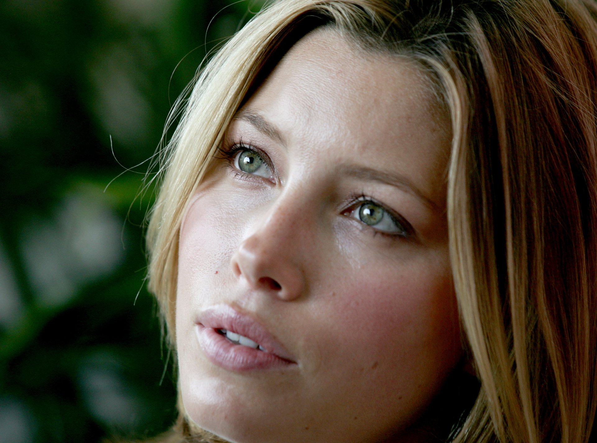 Download Celebrity Jessica Biel HD Wallpaper