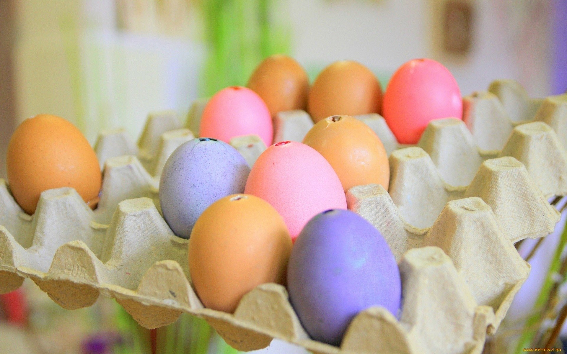 Colorful Eggs Delight: HD Food Wallpaper