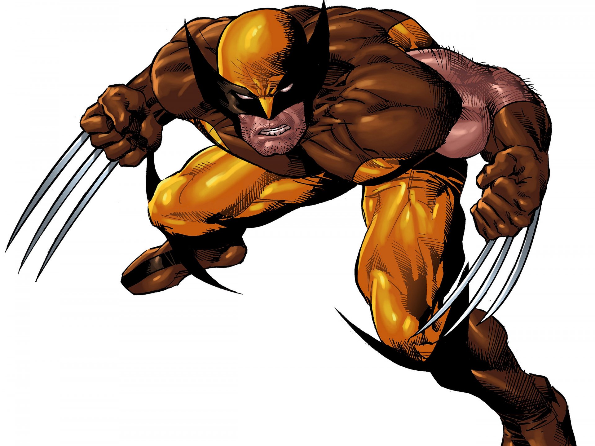Wolverine 2K Quad HD — Savage Claws | 2560x1919 | Wallpaper Abyss