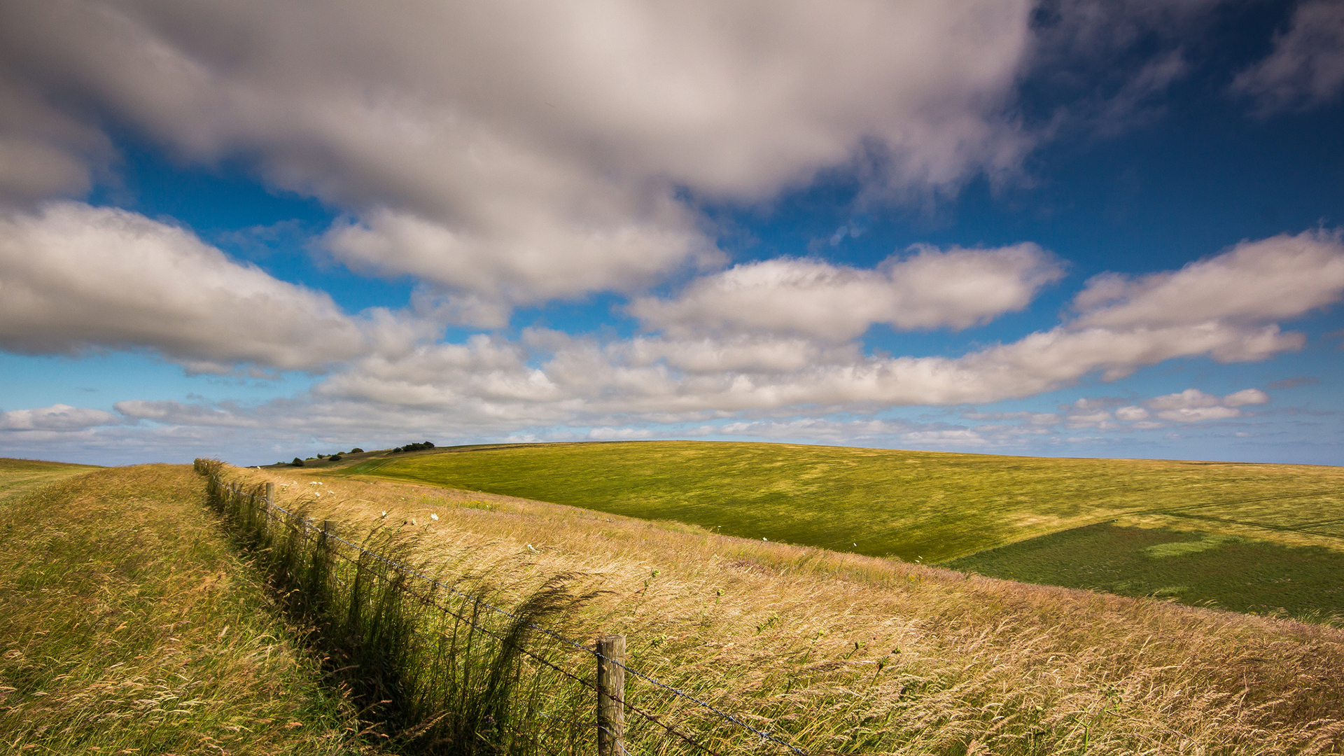Download Nature Field HD Wallpaper