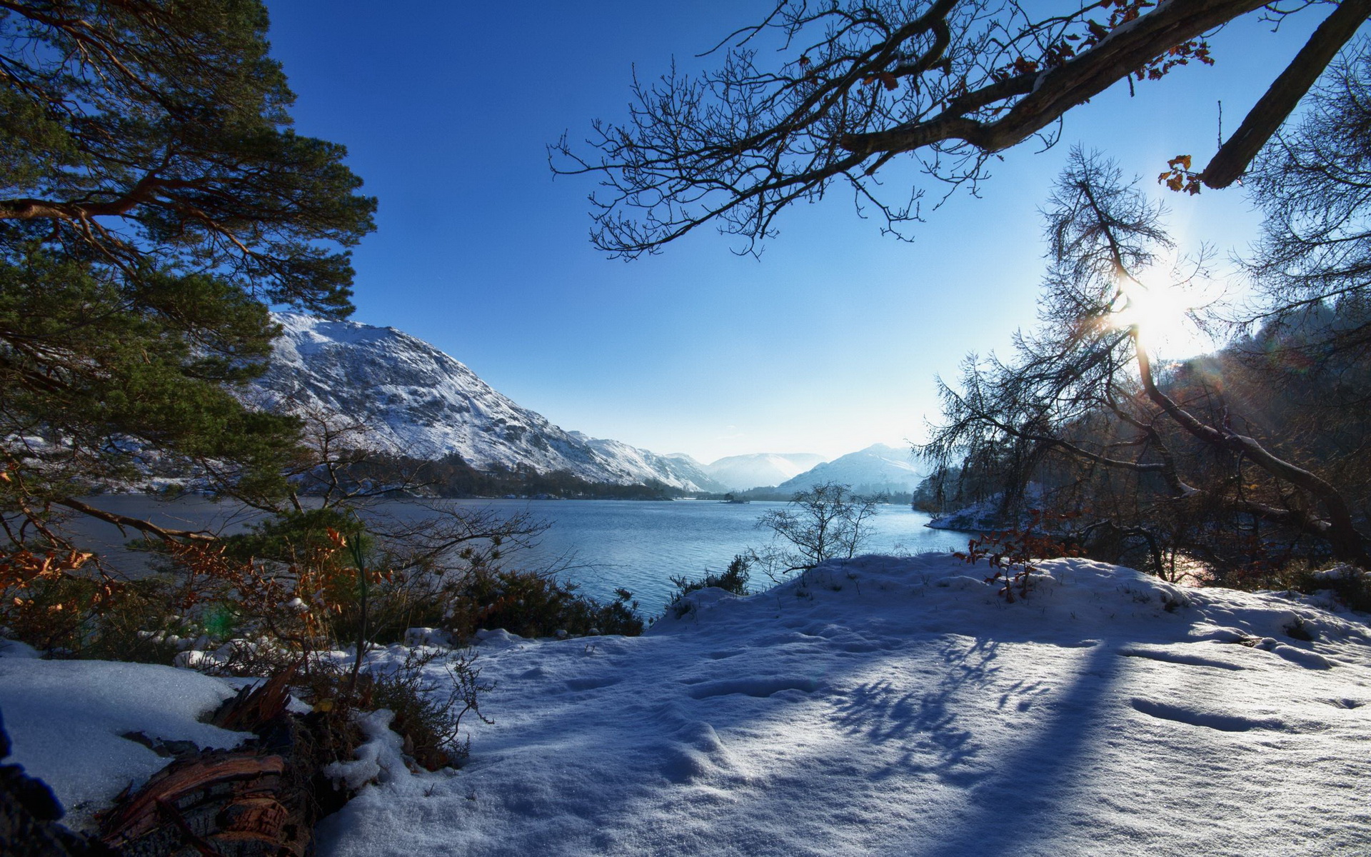 Download Nature Winter HD Wallpaper