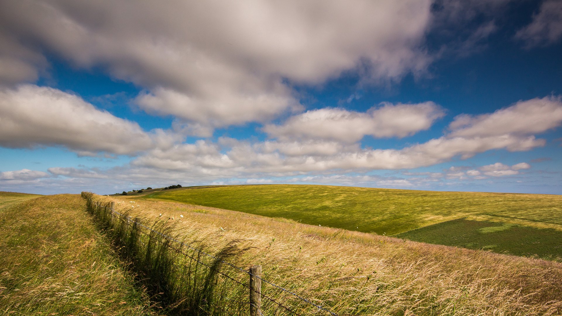Download Nature Field HD Wallpaper
