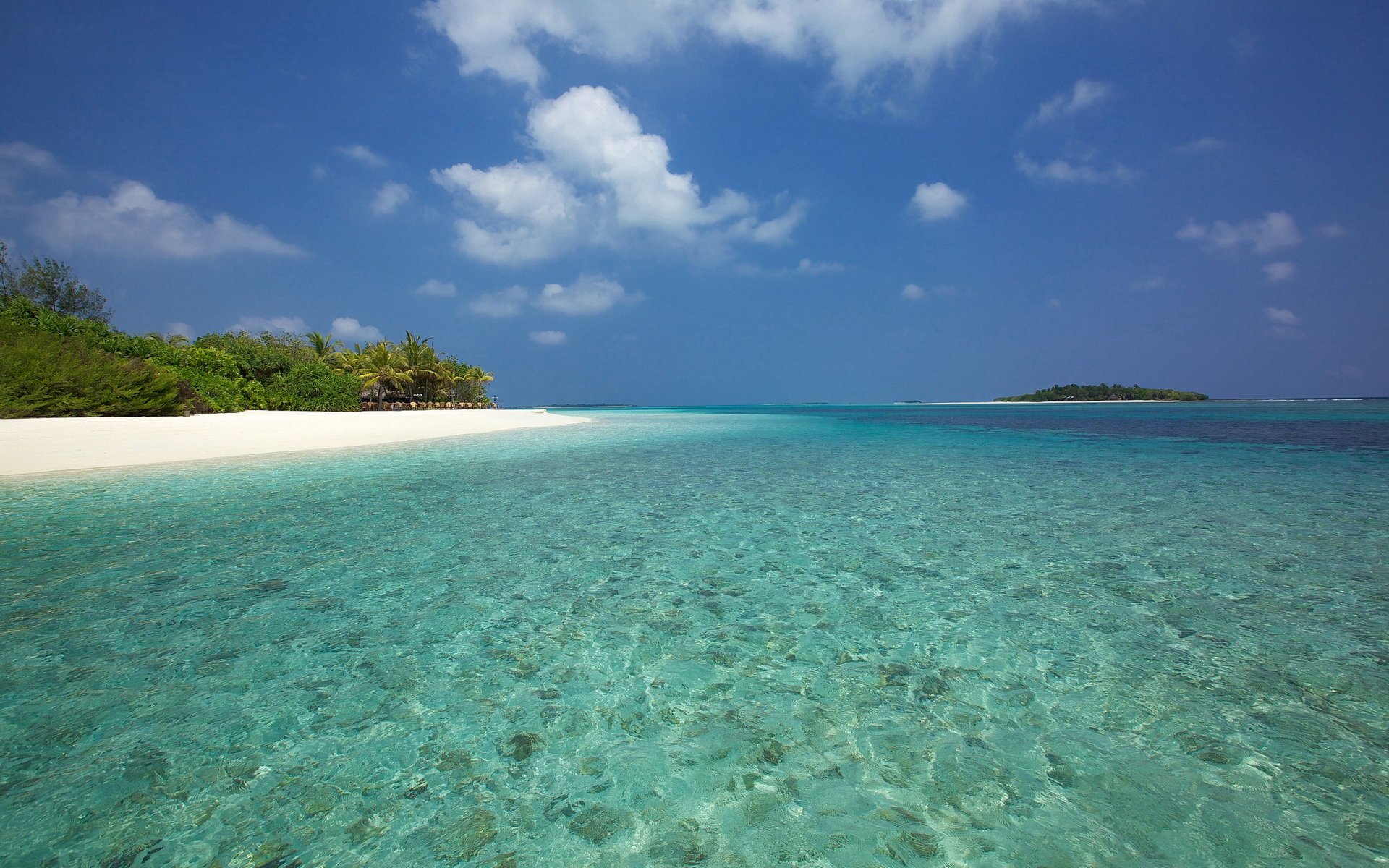 Download Nature Beach HD Wallpaper | 1920x1200 | Wallpaper Abyss