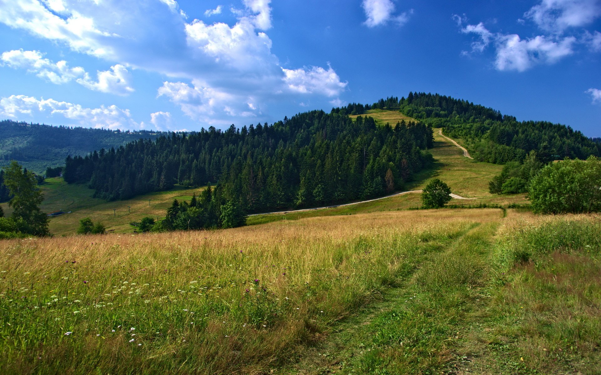 Download Nature Landscape HD Wallpaper | 1920x1200 | Wallpaper Abyss