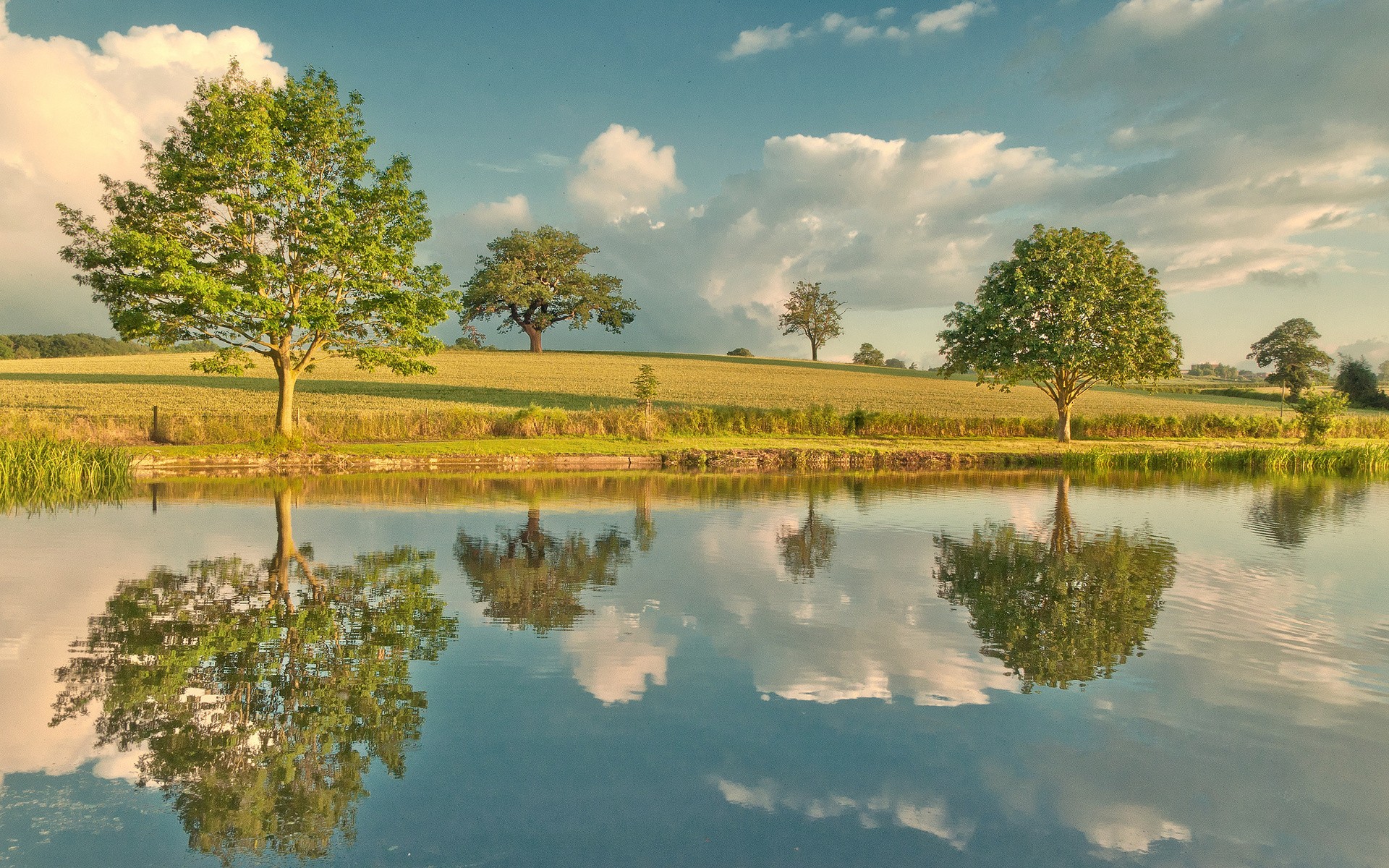 Nature Reflection HD Wallpaper
