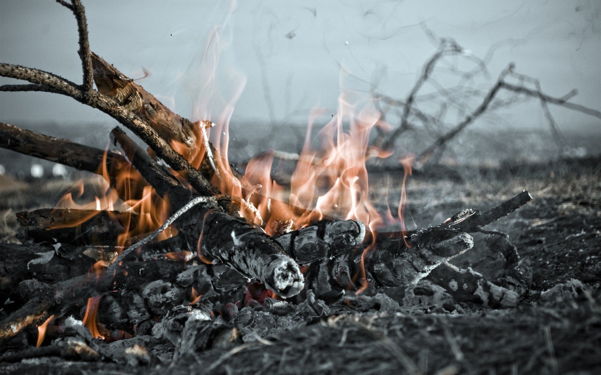 Download Photography Fire HD Wallpaper