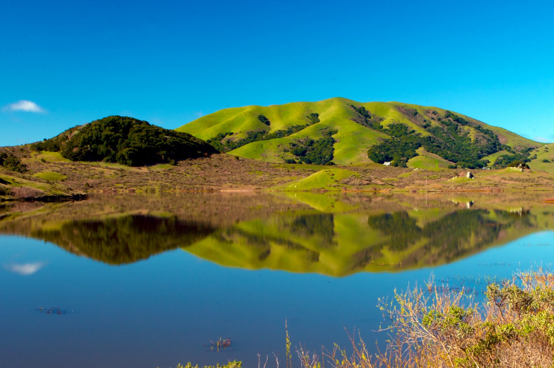 Serene Nature Reflection - HD Wallpaper