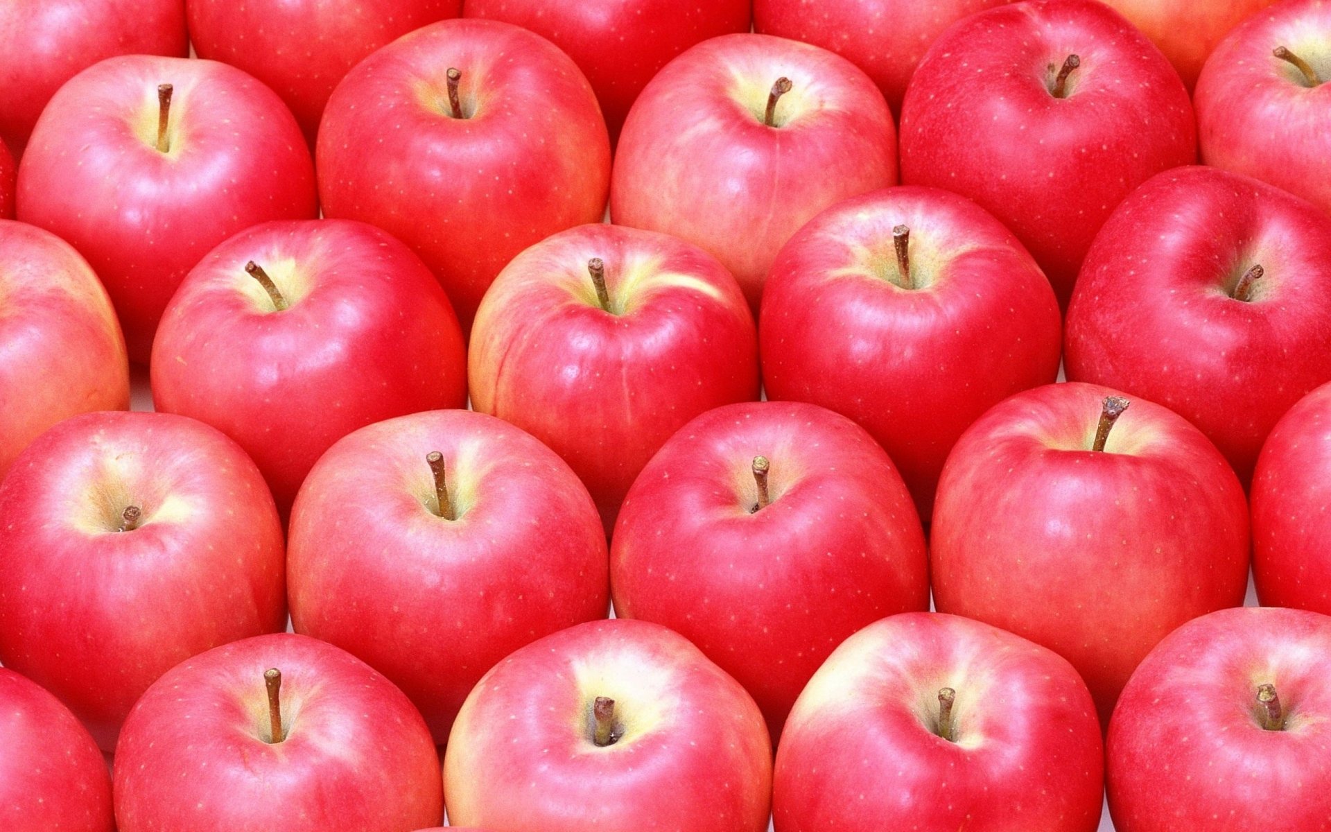 Crisp Red Apples HD Wallpaper – Fresh Food Delight