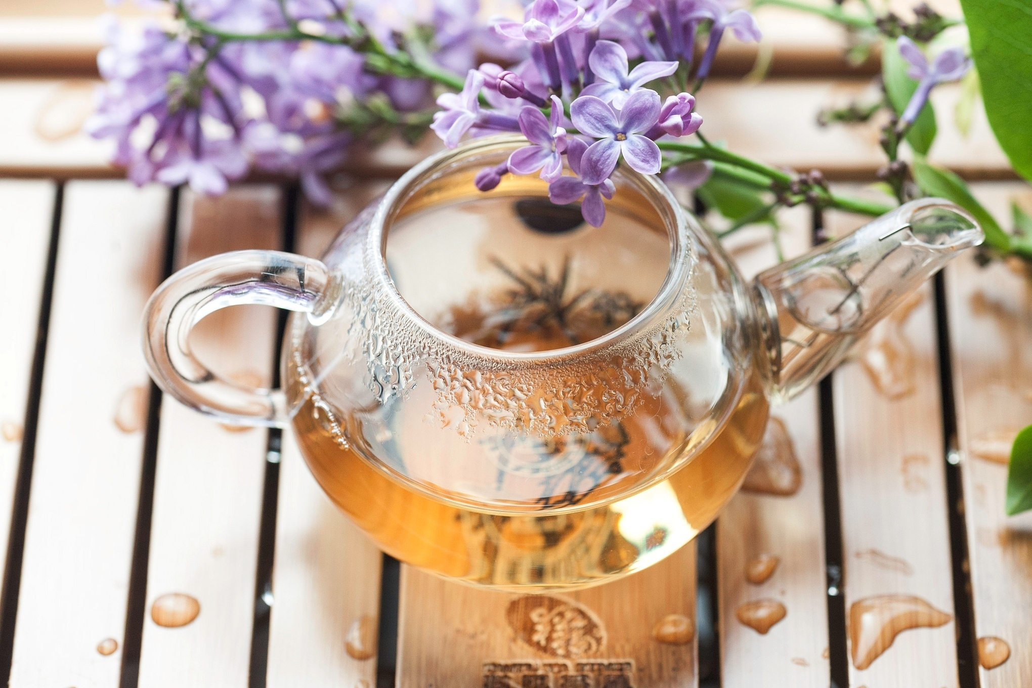 Serene Tea Moments: HD Wallpaper of Floral Infused Brew