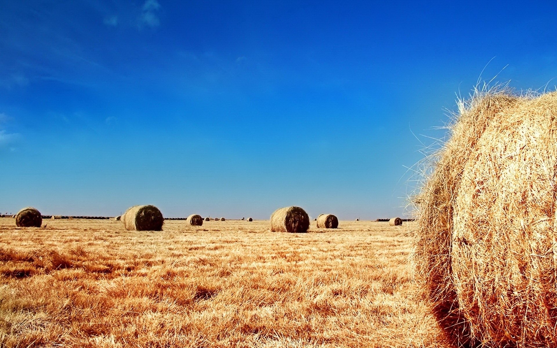 Haystack HD Wallpaper