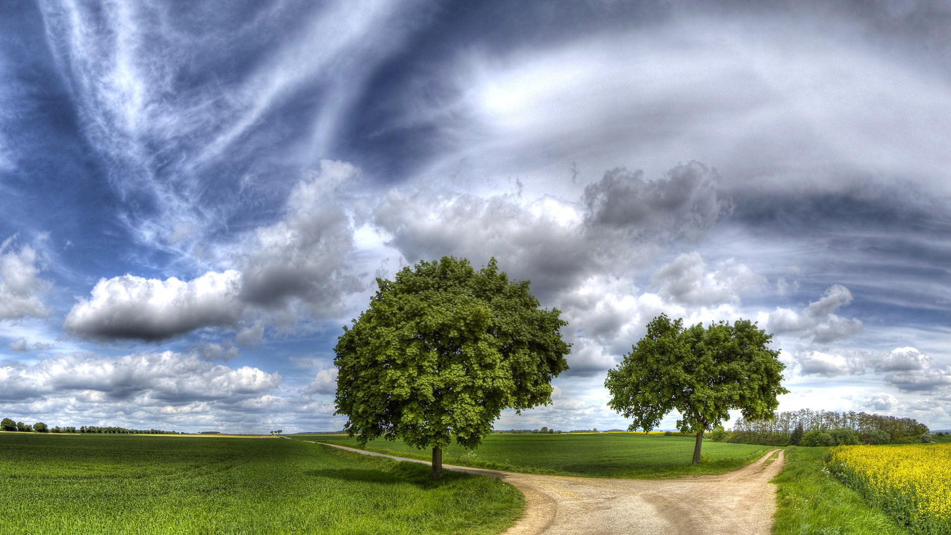 Download Man Made Path HD Wallpaper