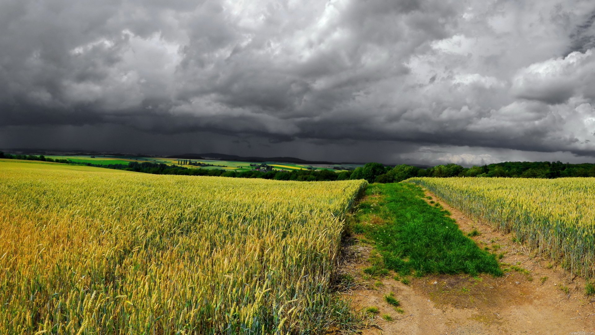 Download Nature Path HD Wallpaper