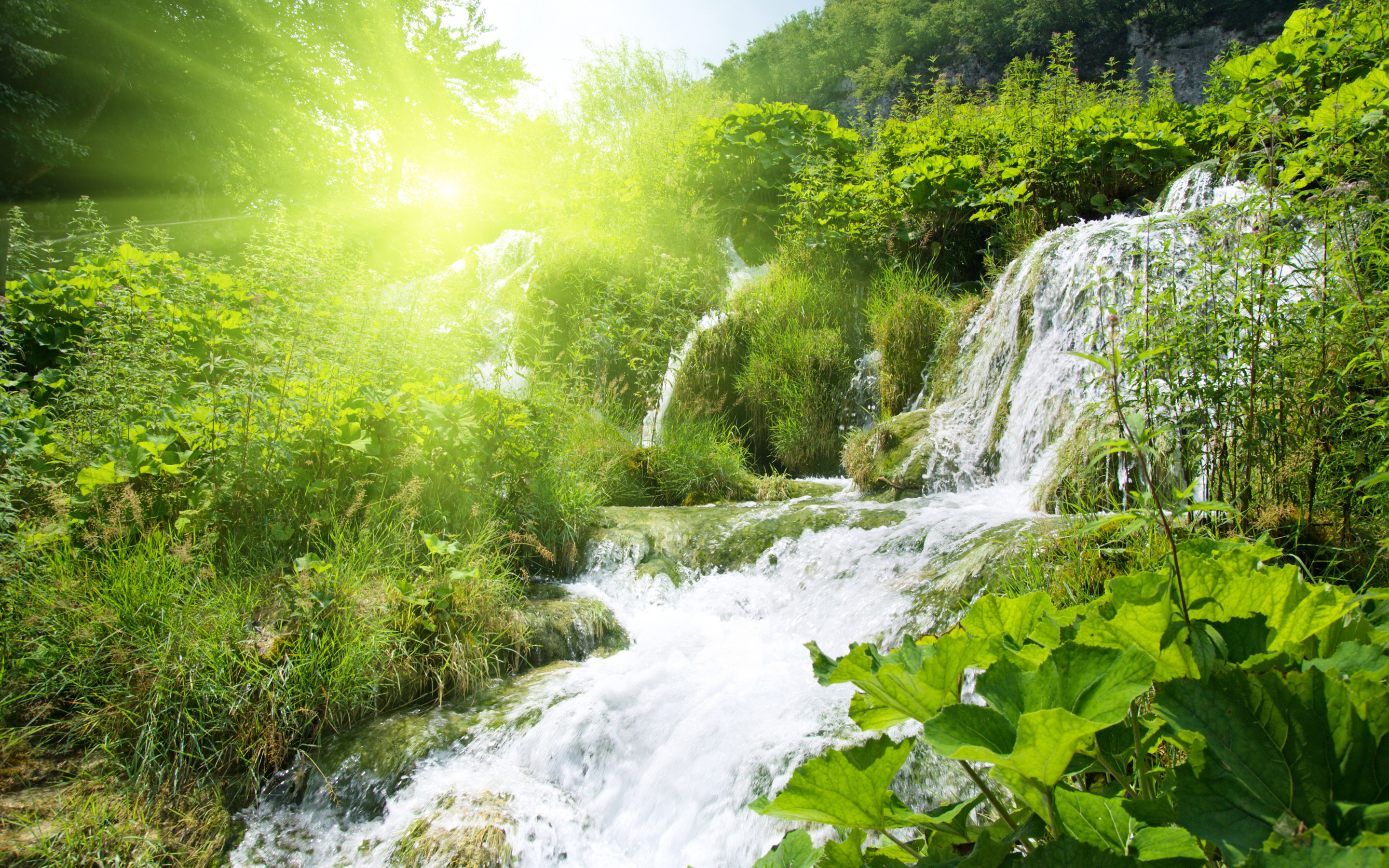 Serene Waterfall HD: Nature’s Calm Cascade