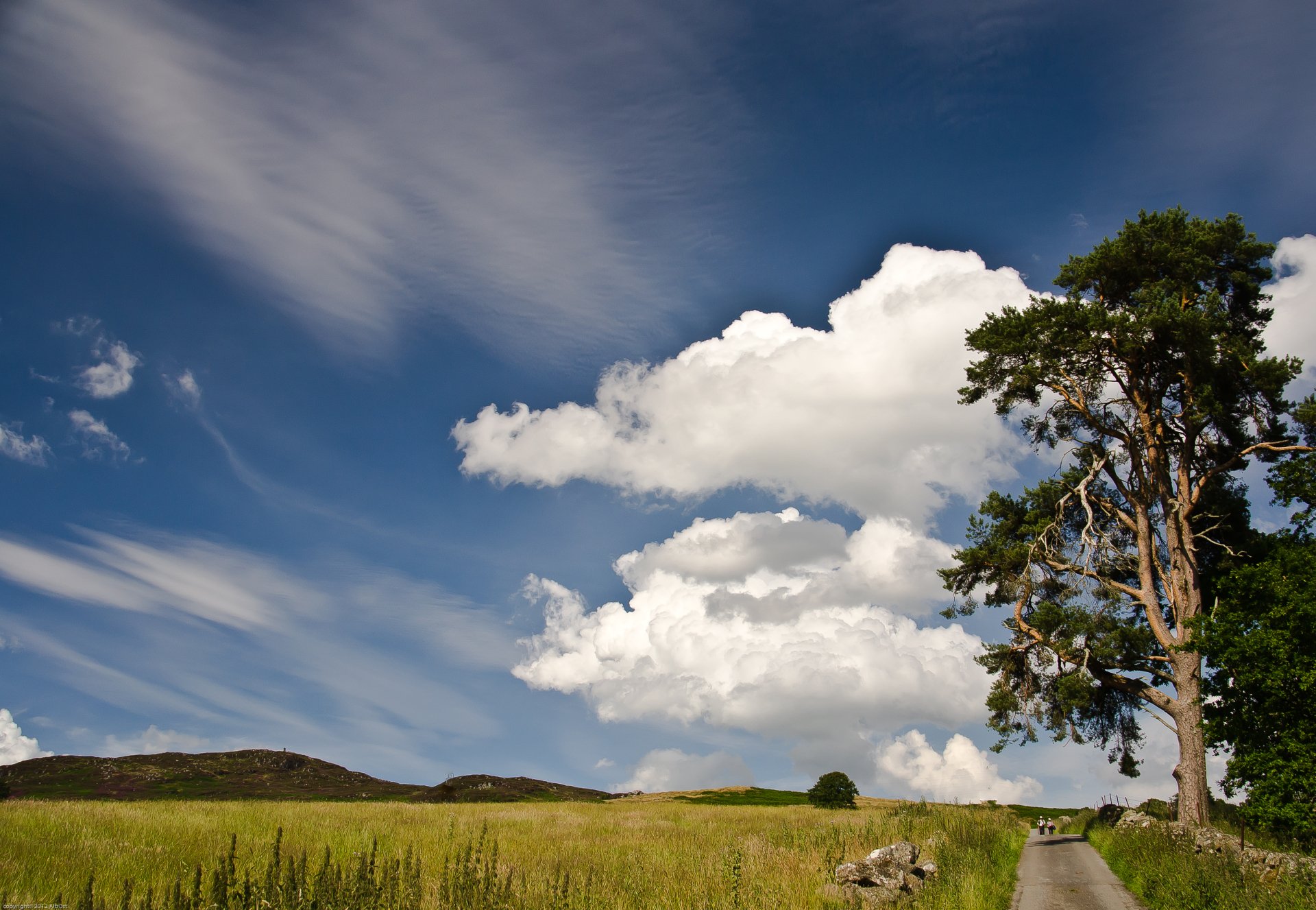 Download Nature Path 4k Ultra HD Wallpaper